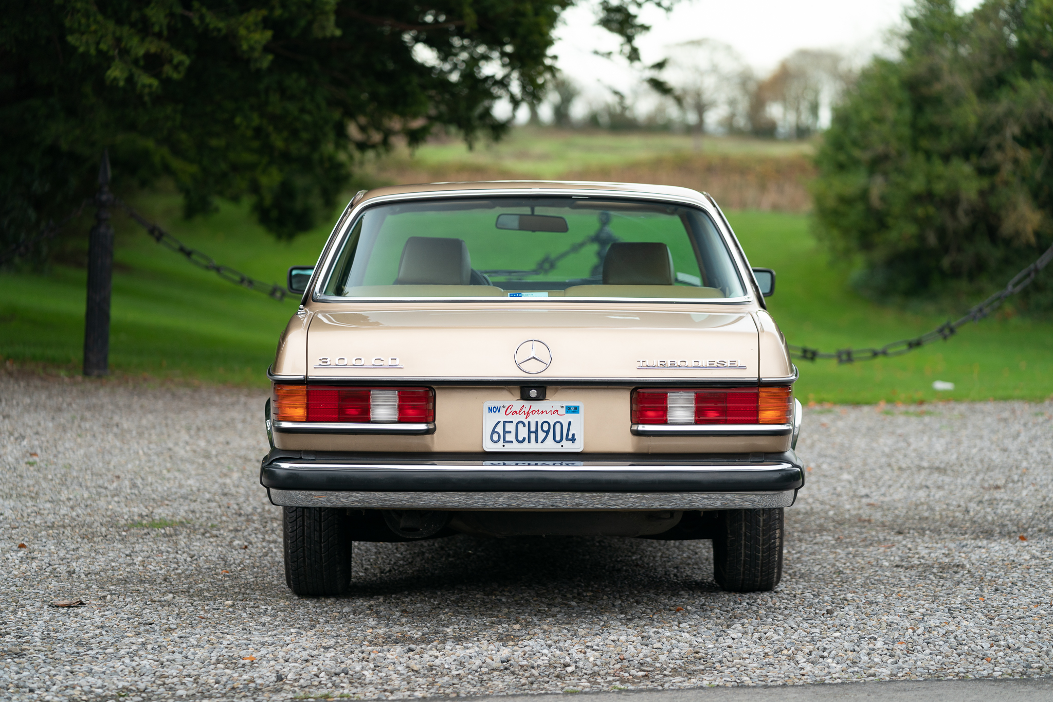 1983 MERCEDES-BENZ (W123) 300 CD