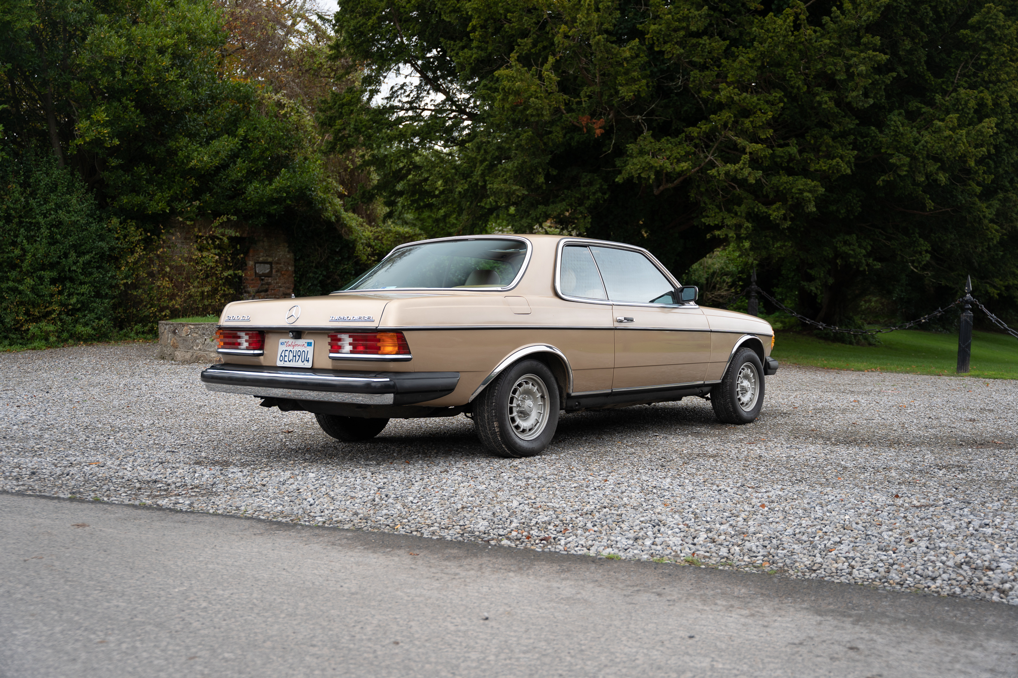 1983 MERCEDES-BENZ (W123) 300 CD
