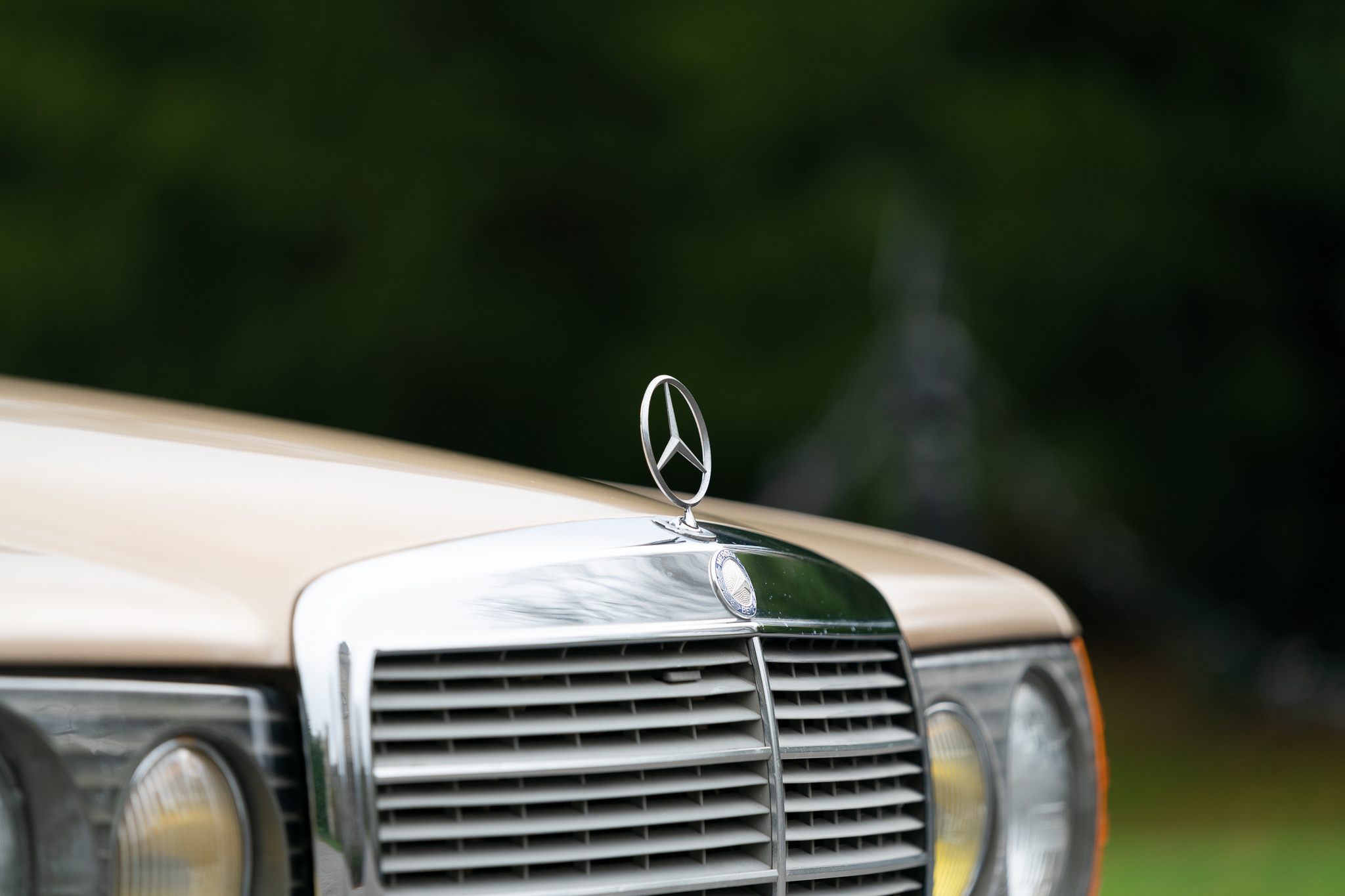 1983 MERCEDES-BENZ (W123) 300 CD