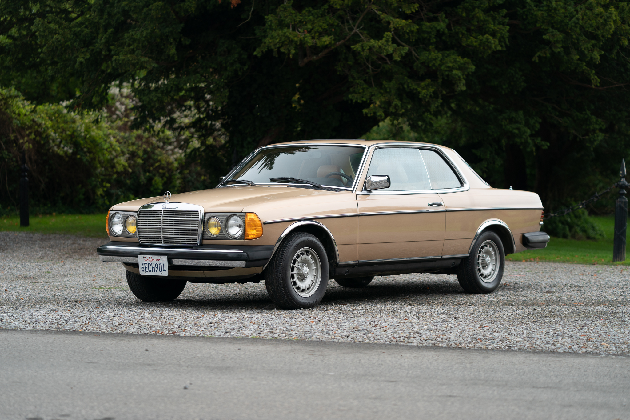 1983 MERCEDES-BENZ (W123) 300 CD