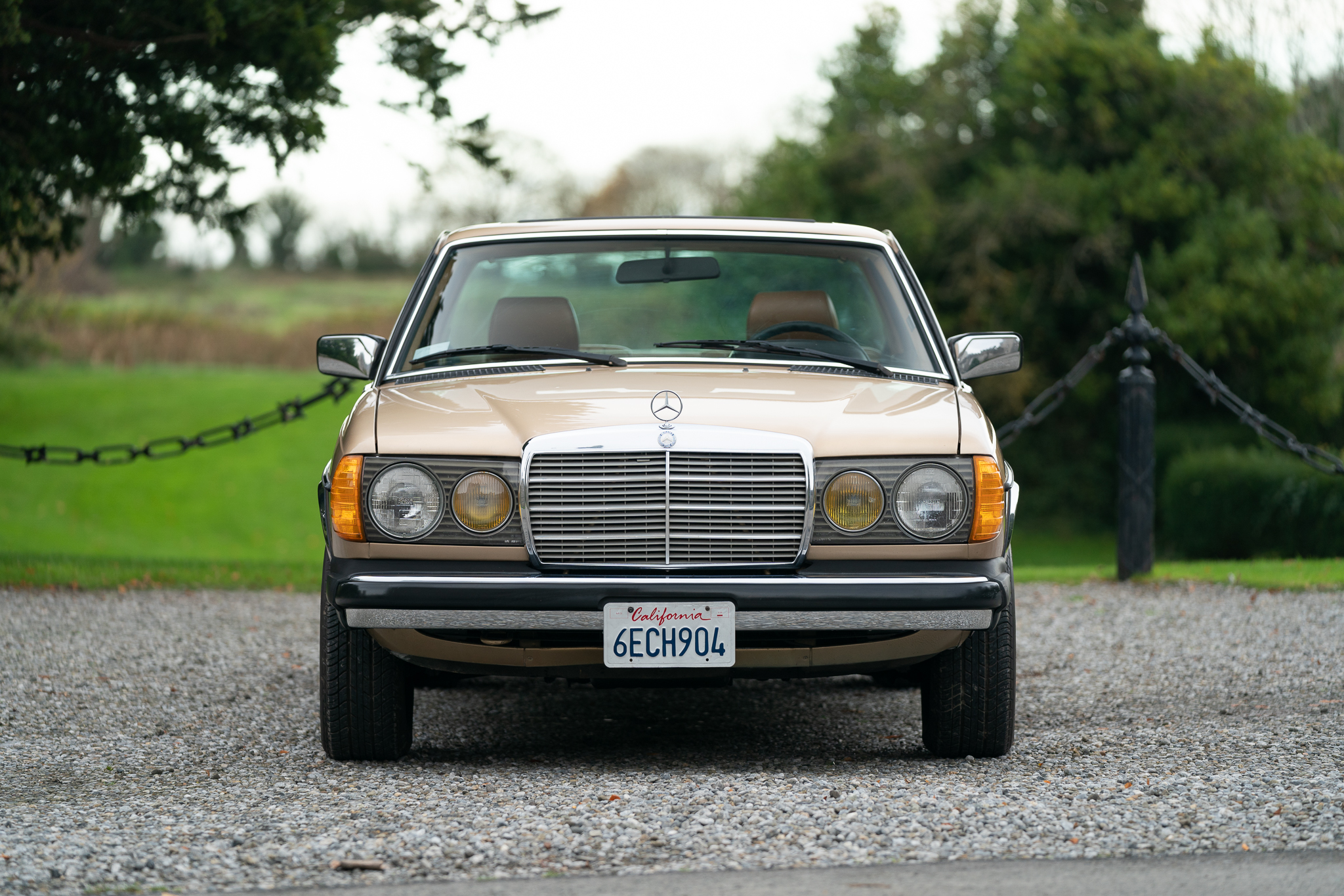 1983 MERCEDES-BENZ (W123) 300 CD