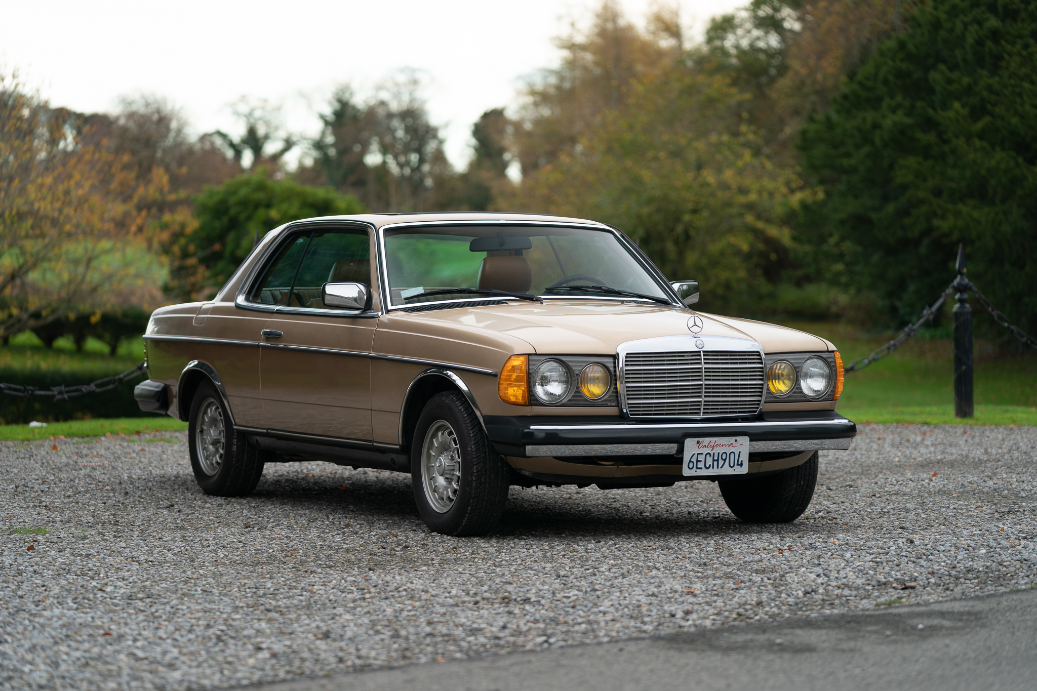 1983 MERCEDES-BENZ (W123) 300 CD