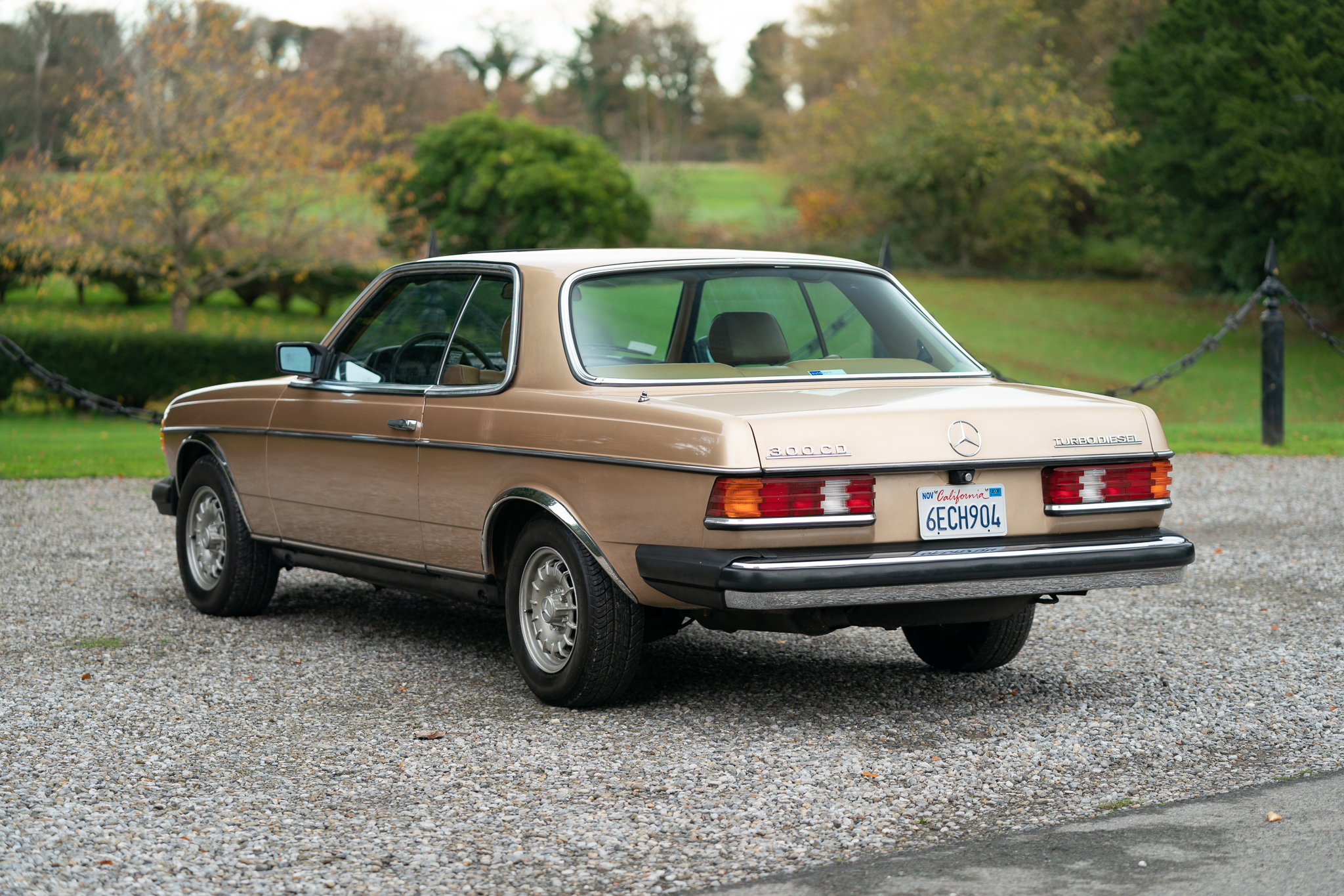 1983 MERCEDES-BENZ (W123) 300 CD
