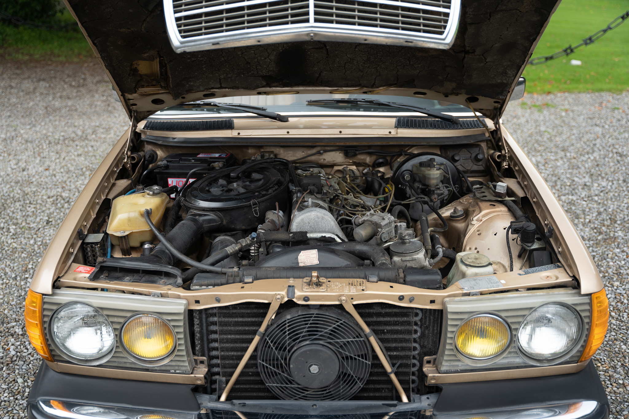 1983 MERCEDES-BENZ (W123) 300 CD
