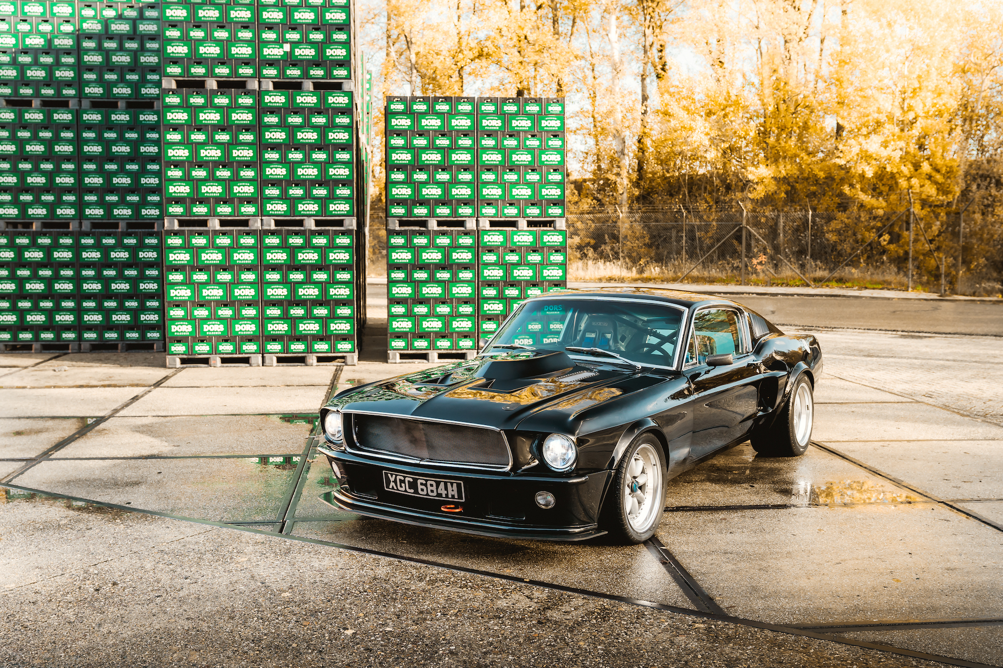 1967 FORD MUSTANG FASTBACK for sale by auction in Beek en Donk, Brabant ...