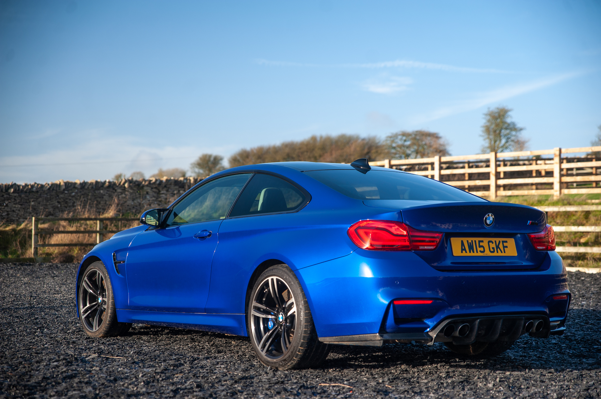 2015 BMW (F82) M4
