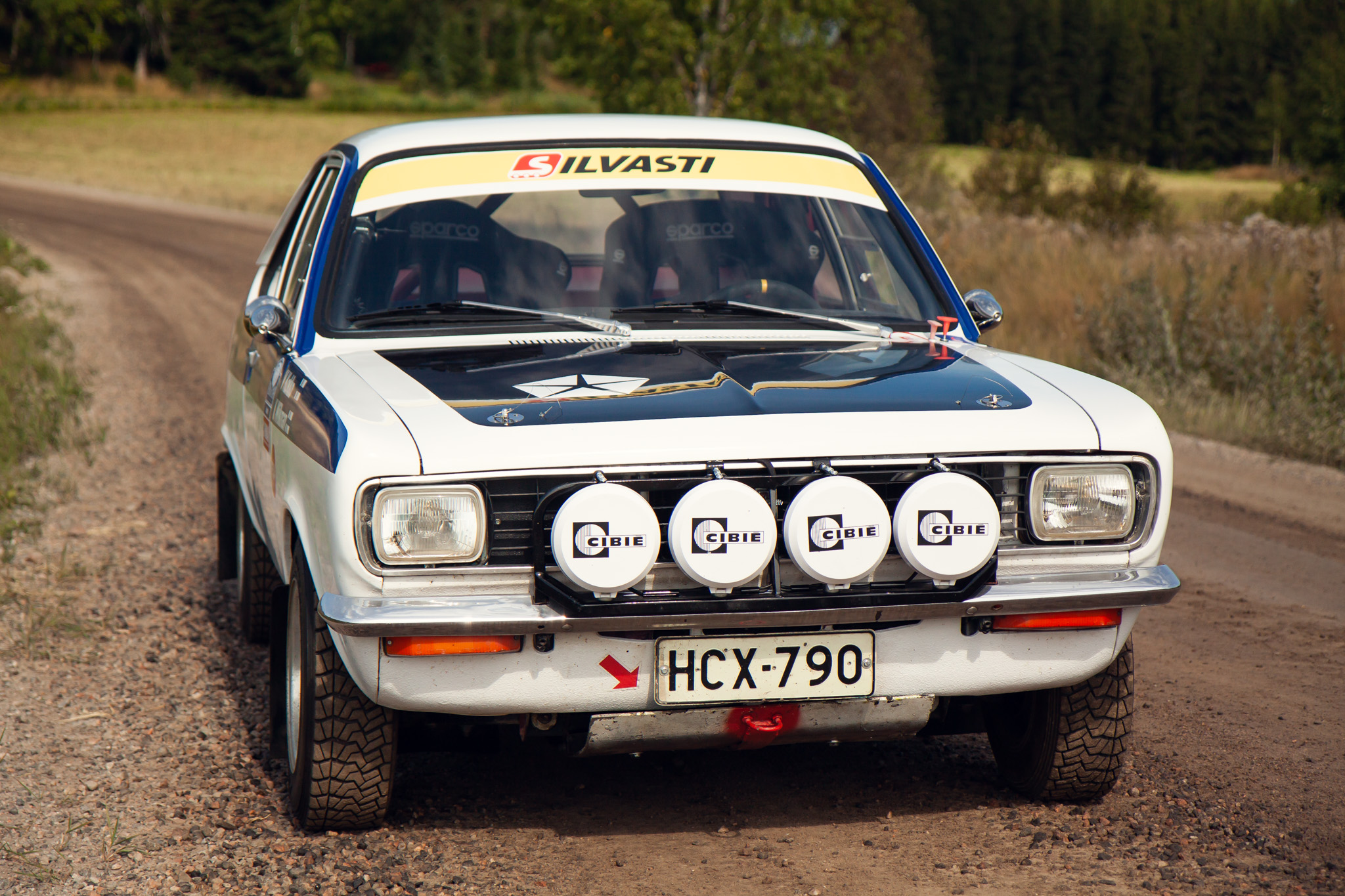 1974 SUNBEAM AVENGER 1600 GT - RACE PREPARED