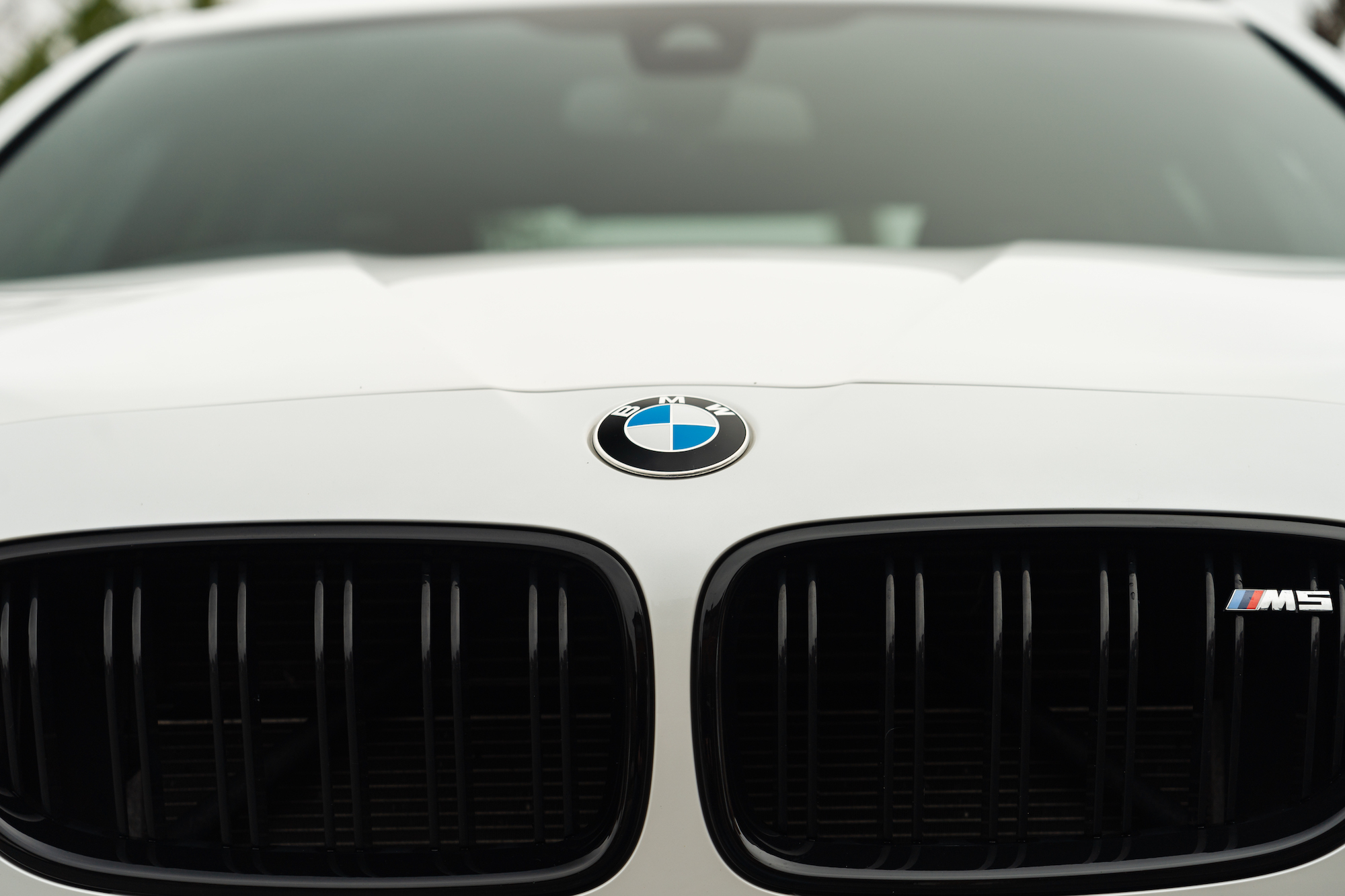 2016 BMW (F10) M5 COMPETITION EDITION - 10,206 MILES for sale by ...