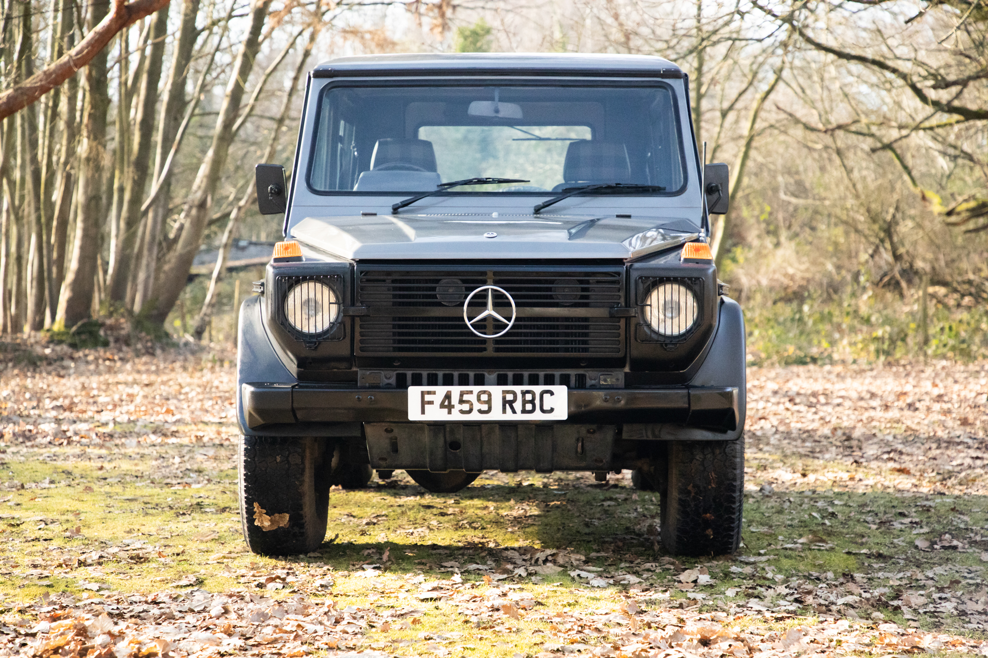 1989 MERCEDES-BENZ (W460) 280GE