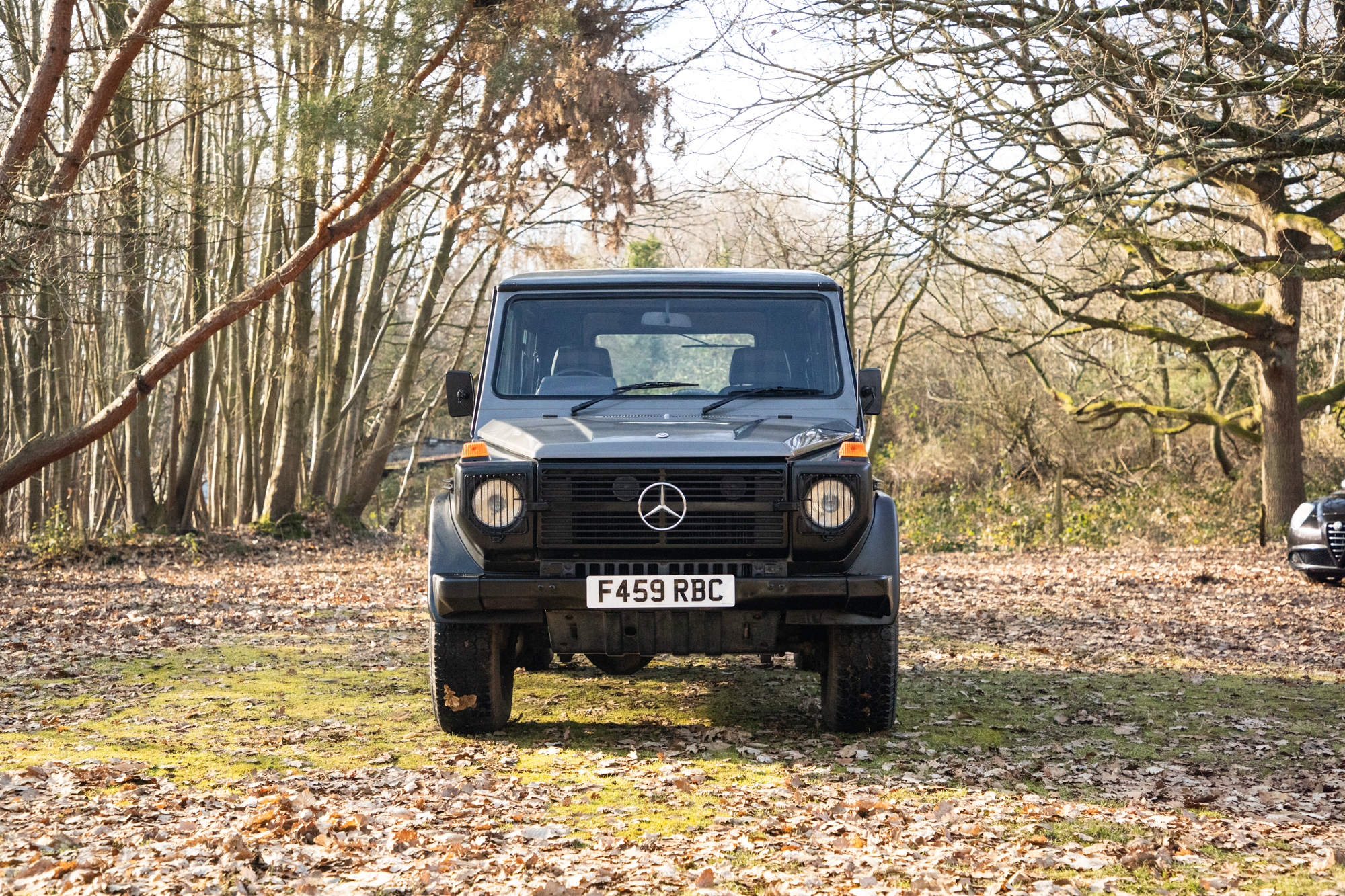 1989 MERCEDES-BENZ (W460) 280GE