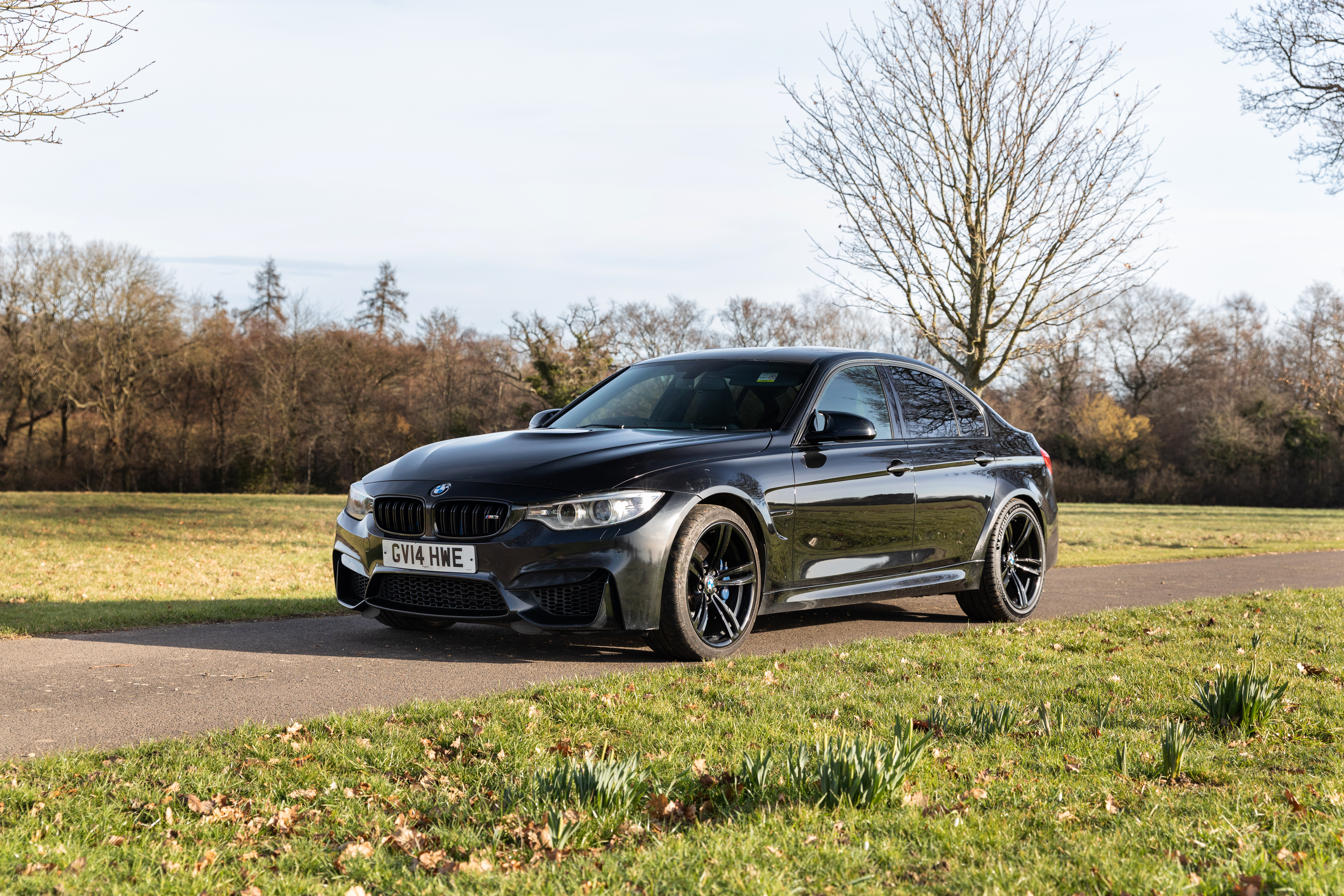 2014 BMW (F80) M3