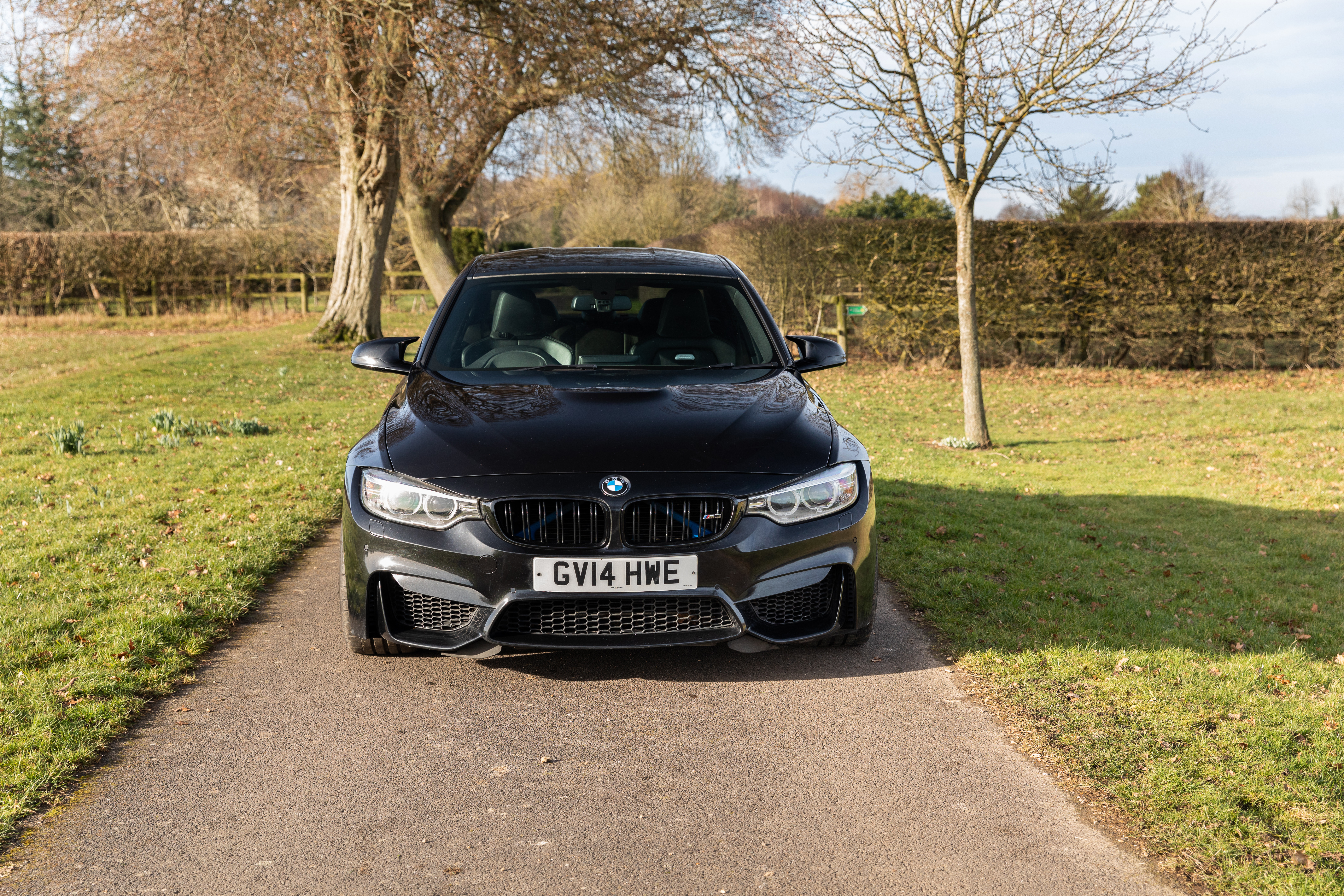 2014 BMW (F80) M3