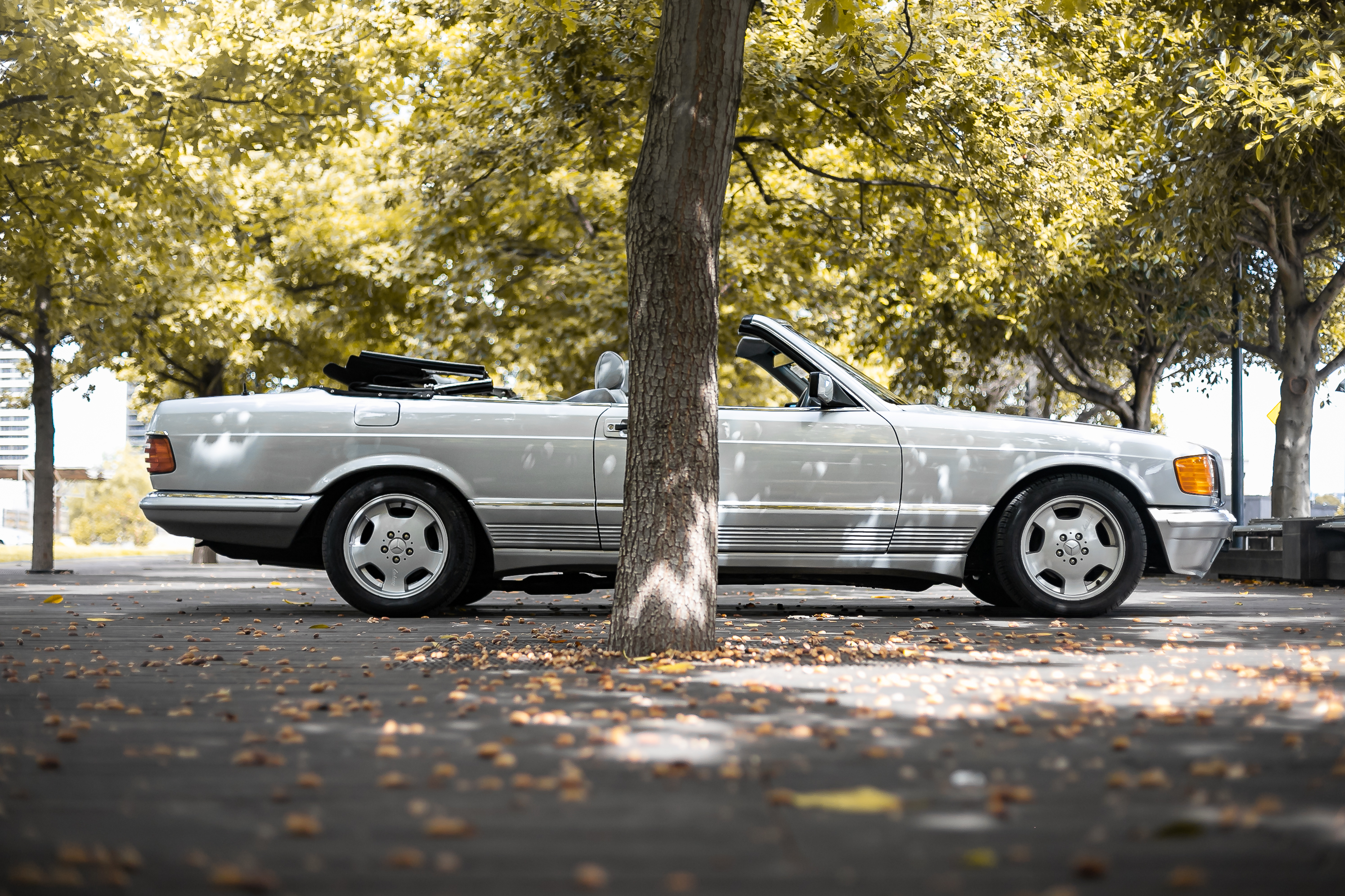 1985 MERCEDES-BENZ (C126) 500 SEC CONVERTIBLE for sale by auction in ...