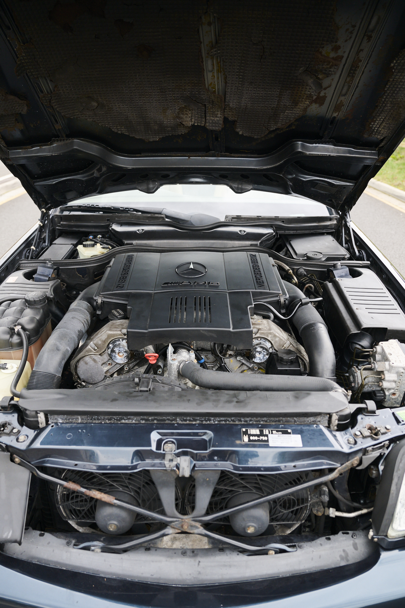 1998 MERCEDES-BENZ (R129) SL60 AMG