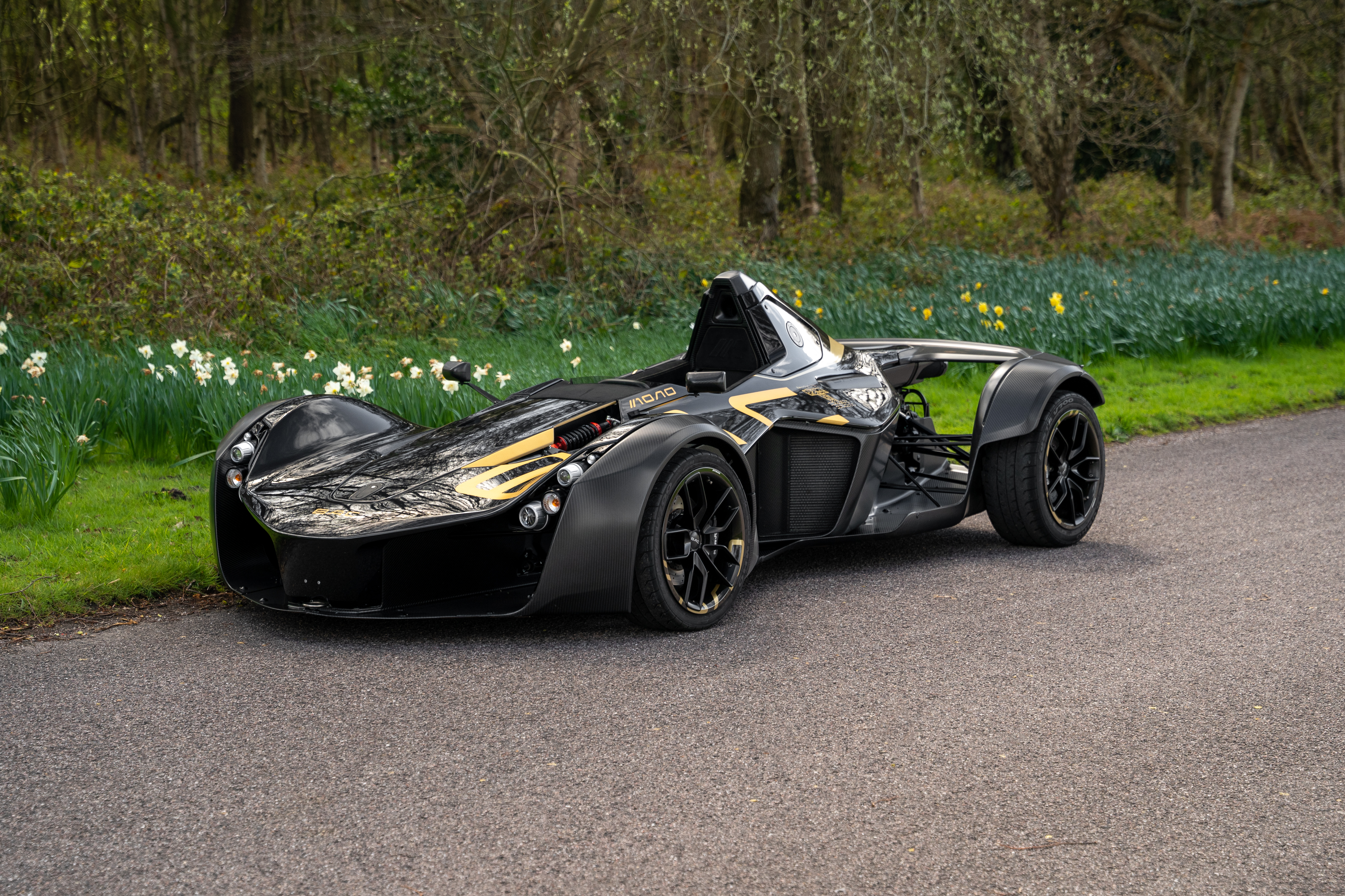 2019 BAC MONO