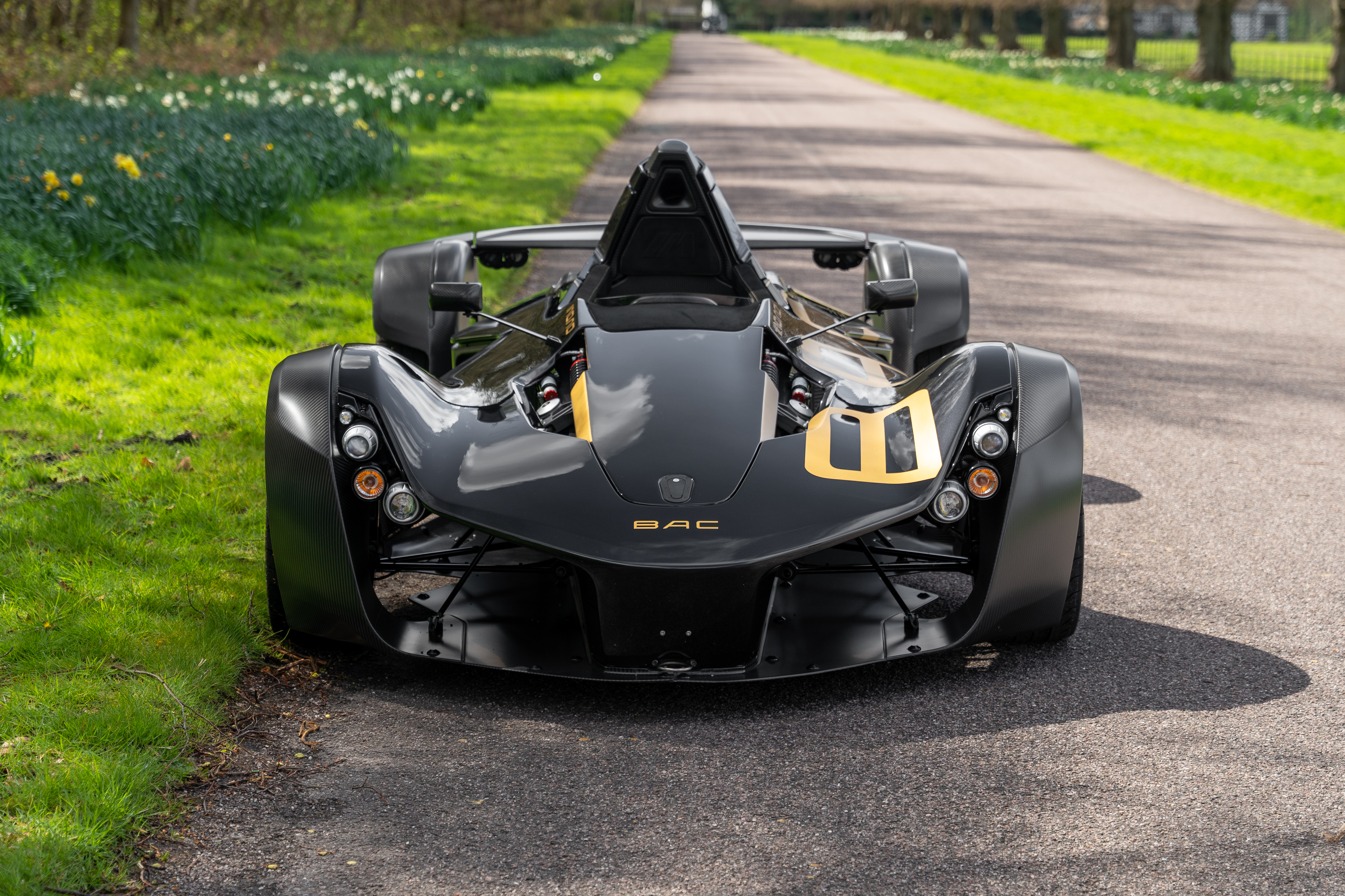 2019 BAC MONO