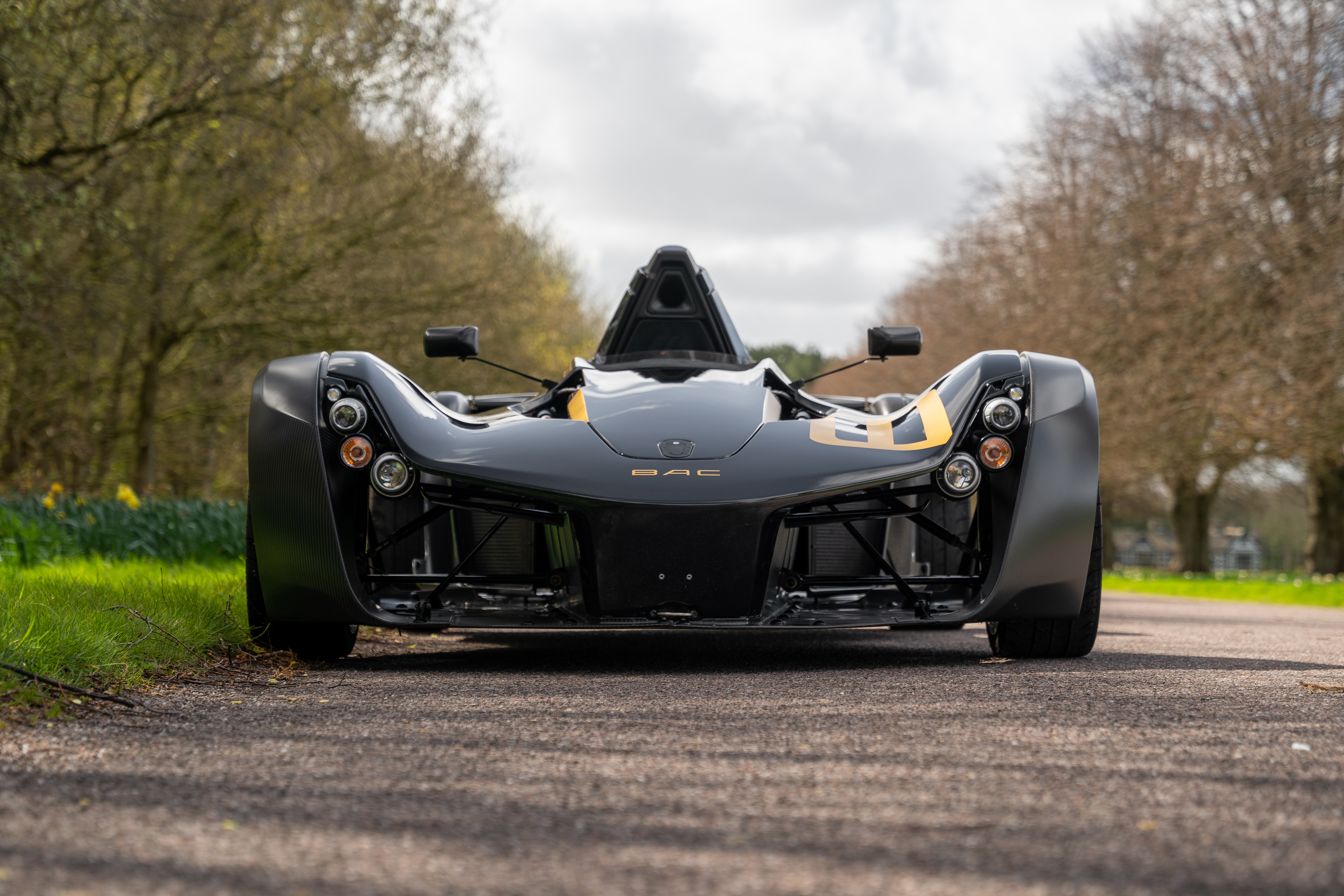 2019 BAC MONO
