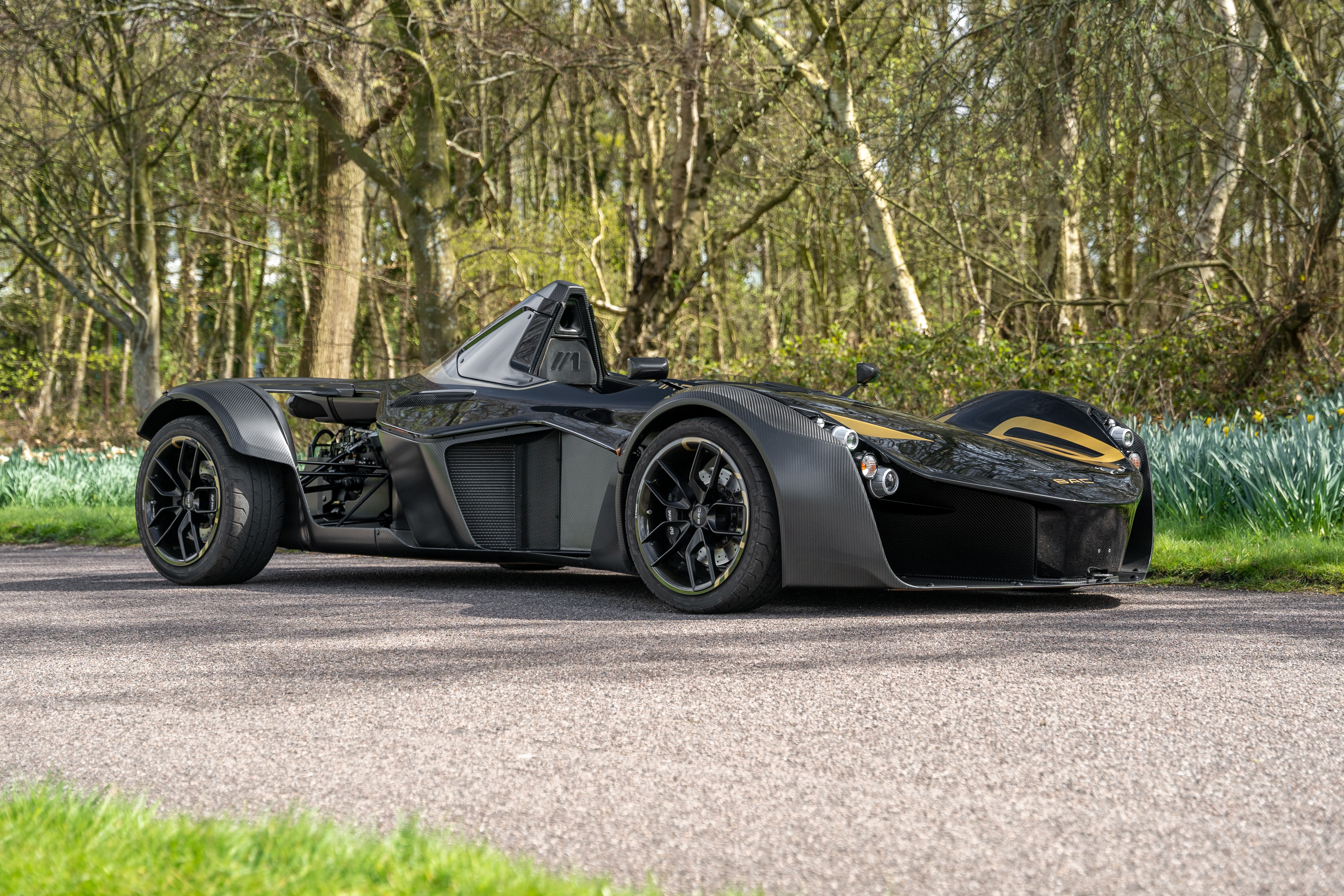 2019 BAC MONO