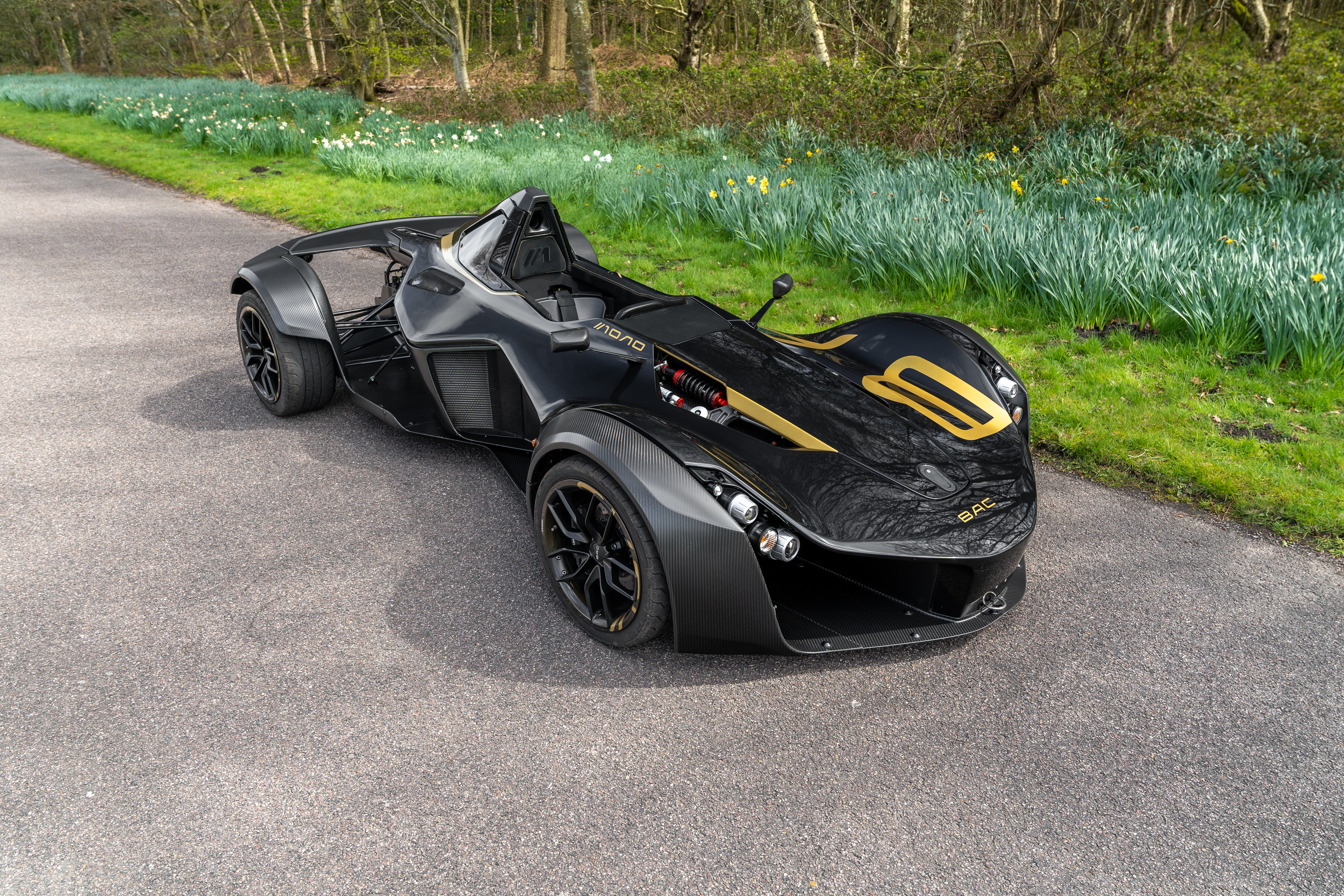 2019 BAC MONO