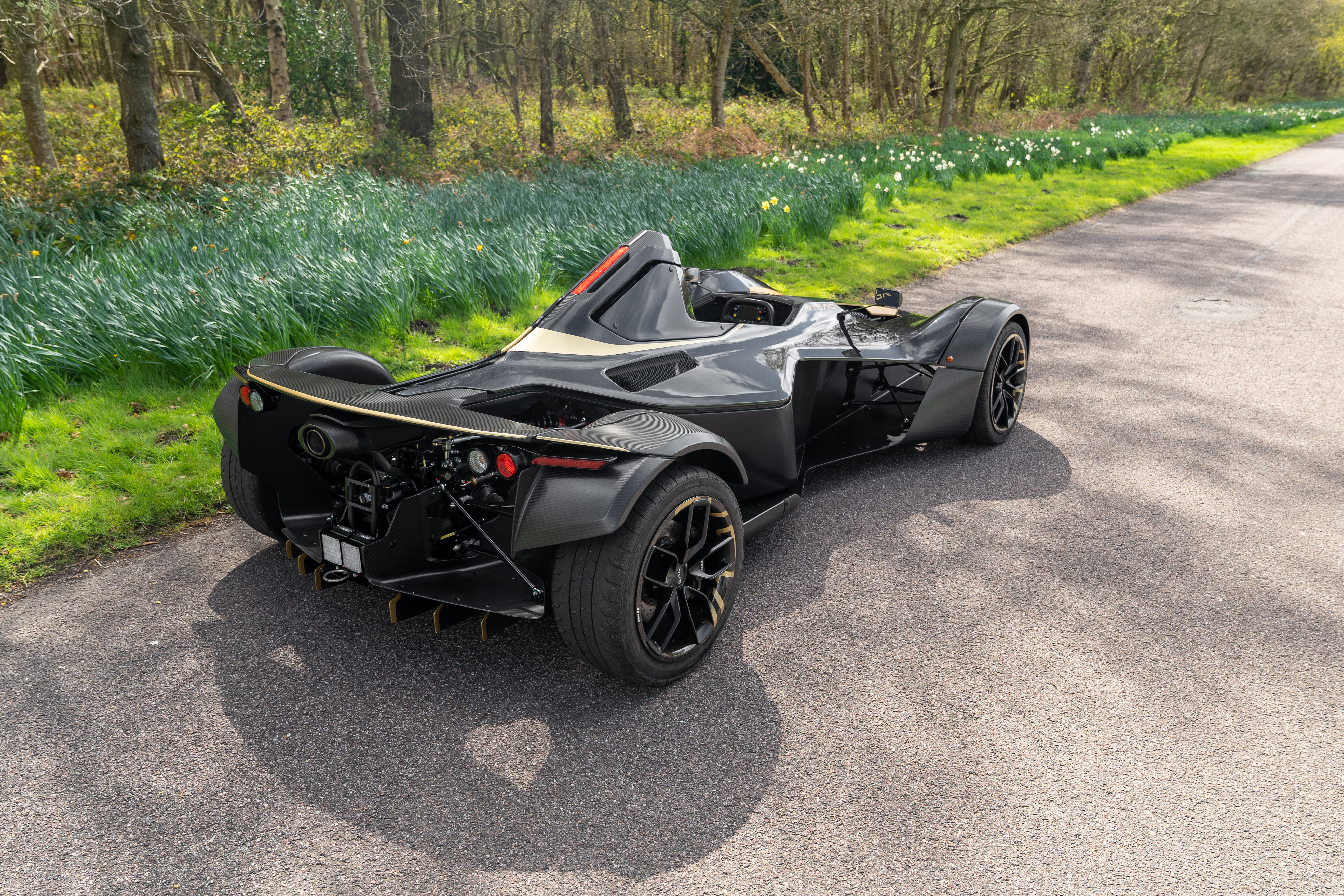2019 BAC MONO