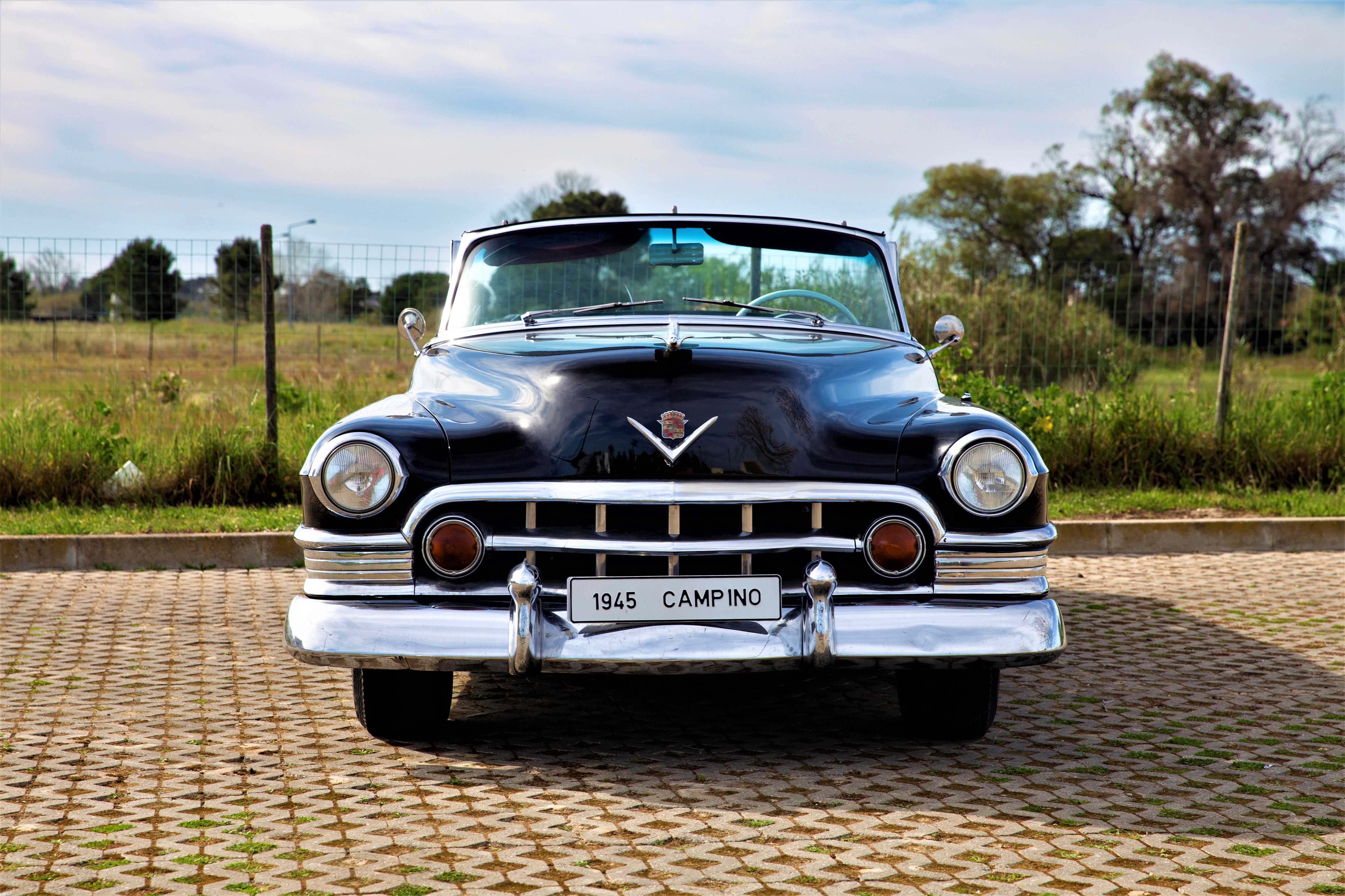 1950 CADILLAC SERIES 62 CONVERTIBLE for sale by auction in Moita, Portugal
