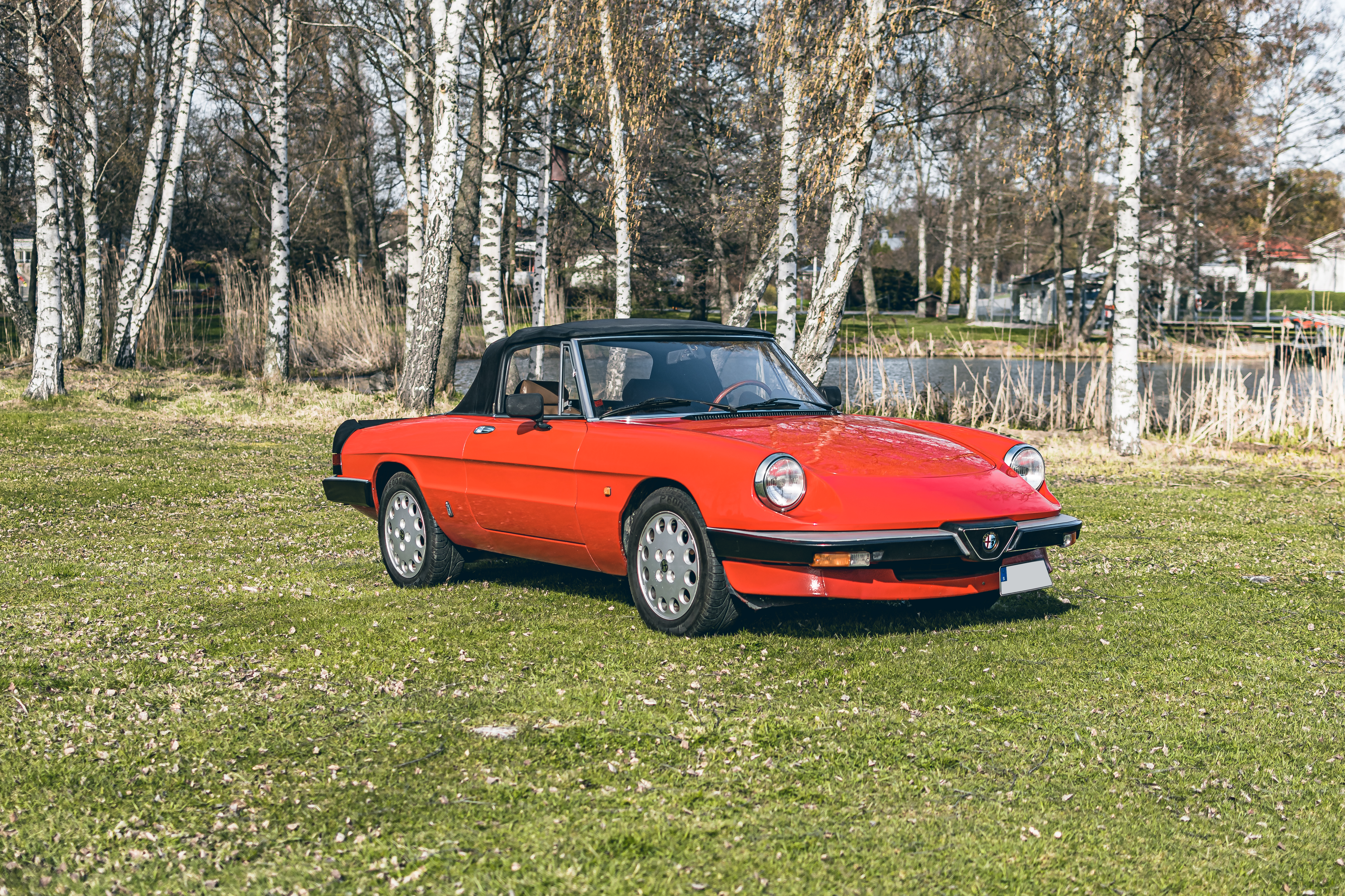 1984 ALFA ROMEO SPIDER S3