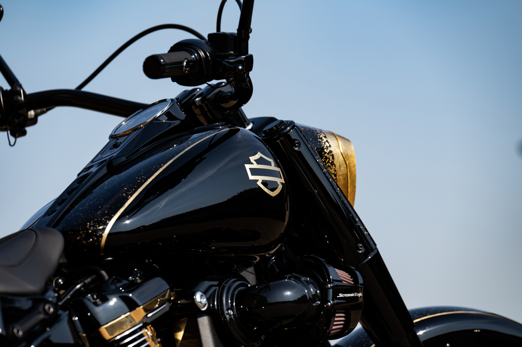 2021 HARLEY-DAVIDSON FATBOY CUSTOM