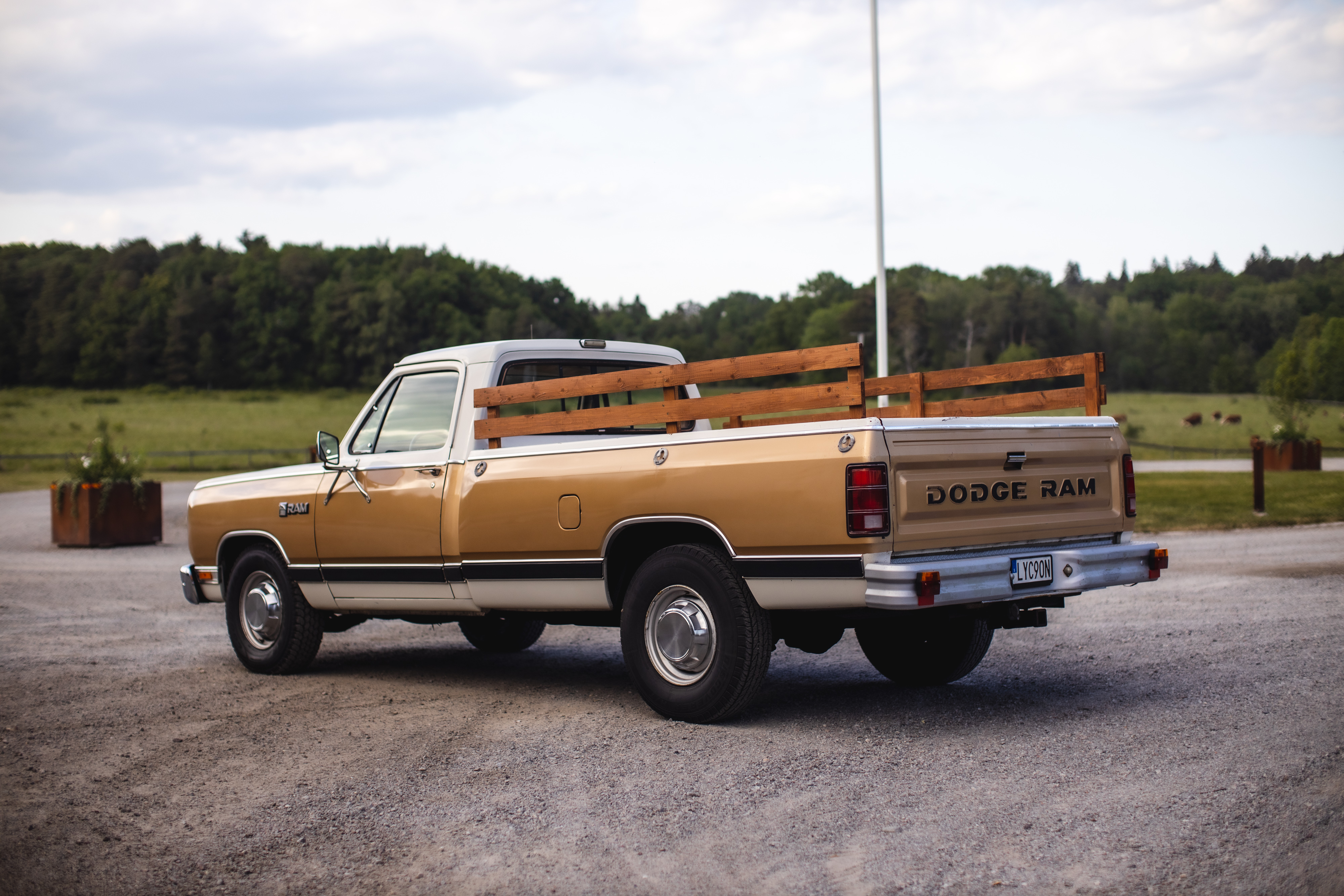 1986 DODGE RAM 250 CUSTOM for sale by auction in Stockholm, Sweden