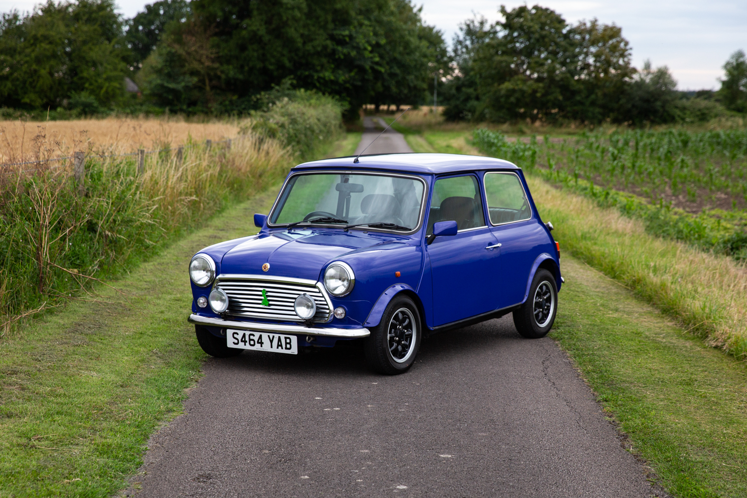1999 ROVER MINI - PAUL SMITH EDITION - 14,271 MILES for sale by auction ...