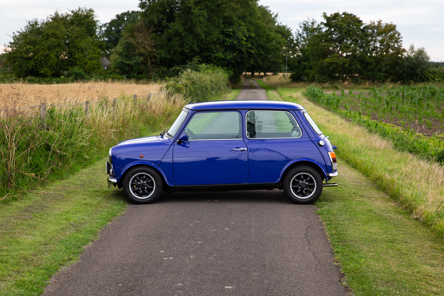 1999 ROVER MINI - PAUL SMITH EDITION - 14,271 MILES for sale by auction ...