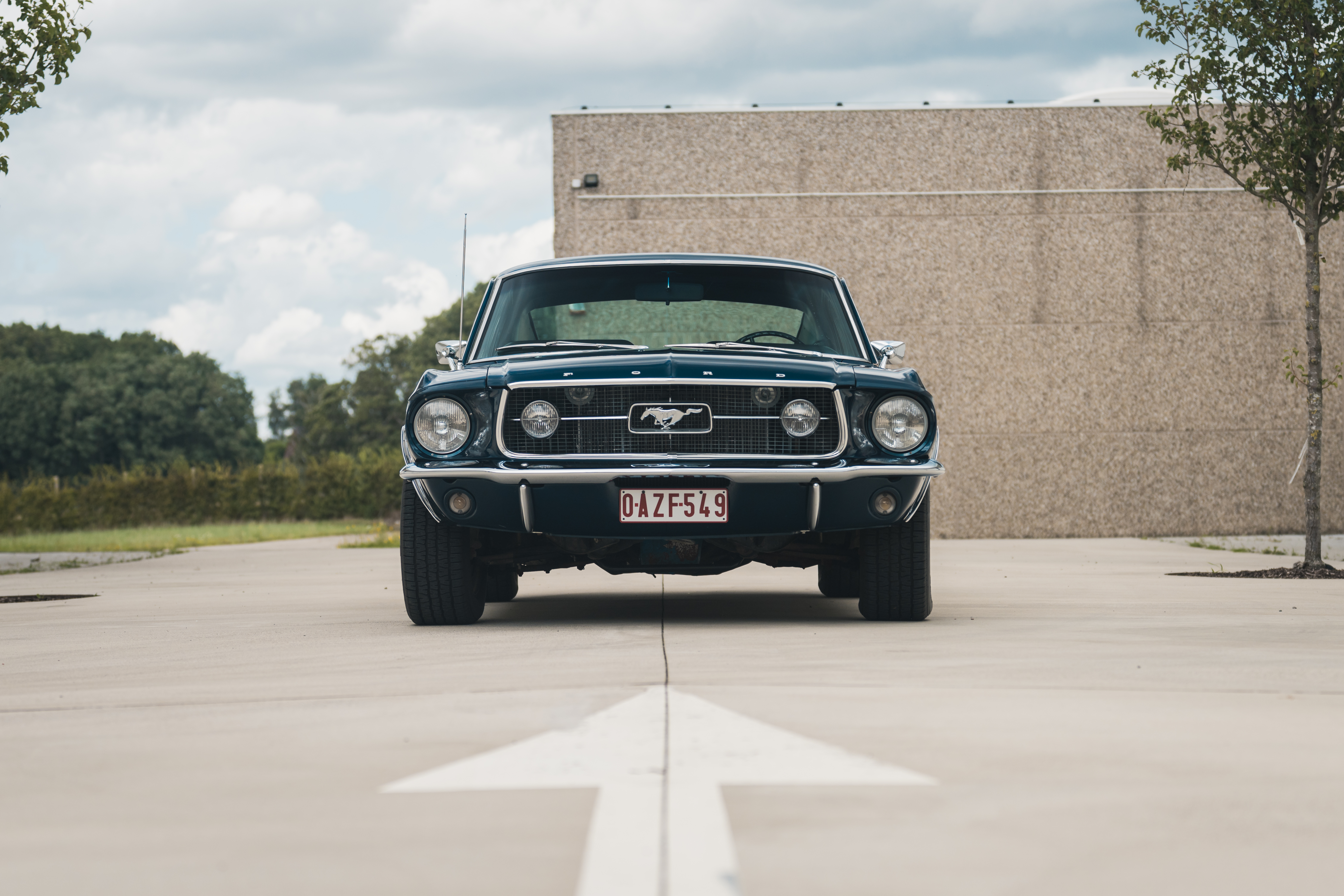 1967 FORD MUSTANG 390 FASTBACK GTA S-CODE for sale by auction in ...