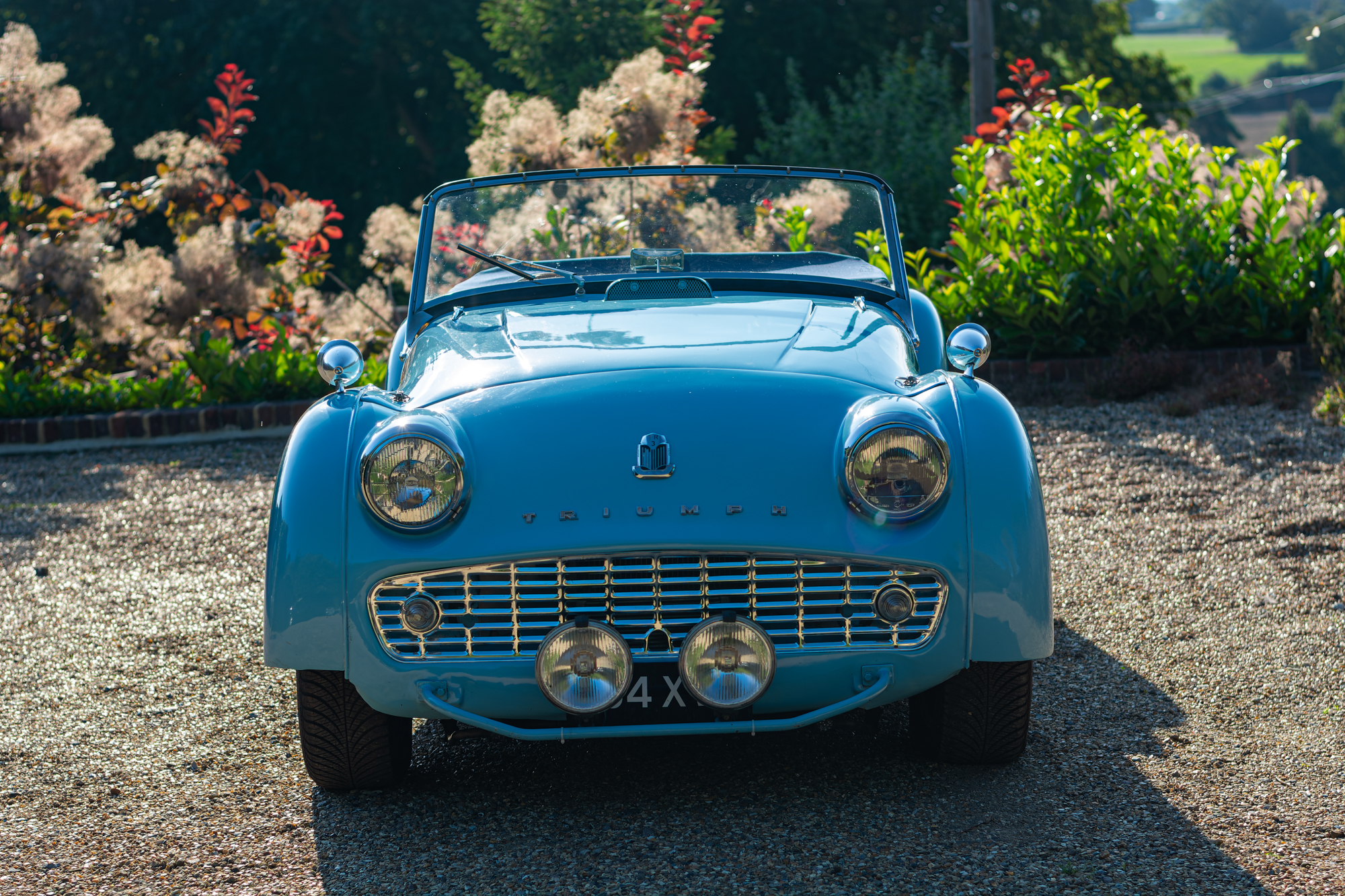 1958 TRIUMPH TR3 - MASS RACING ENGINE for sale by auction in ...