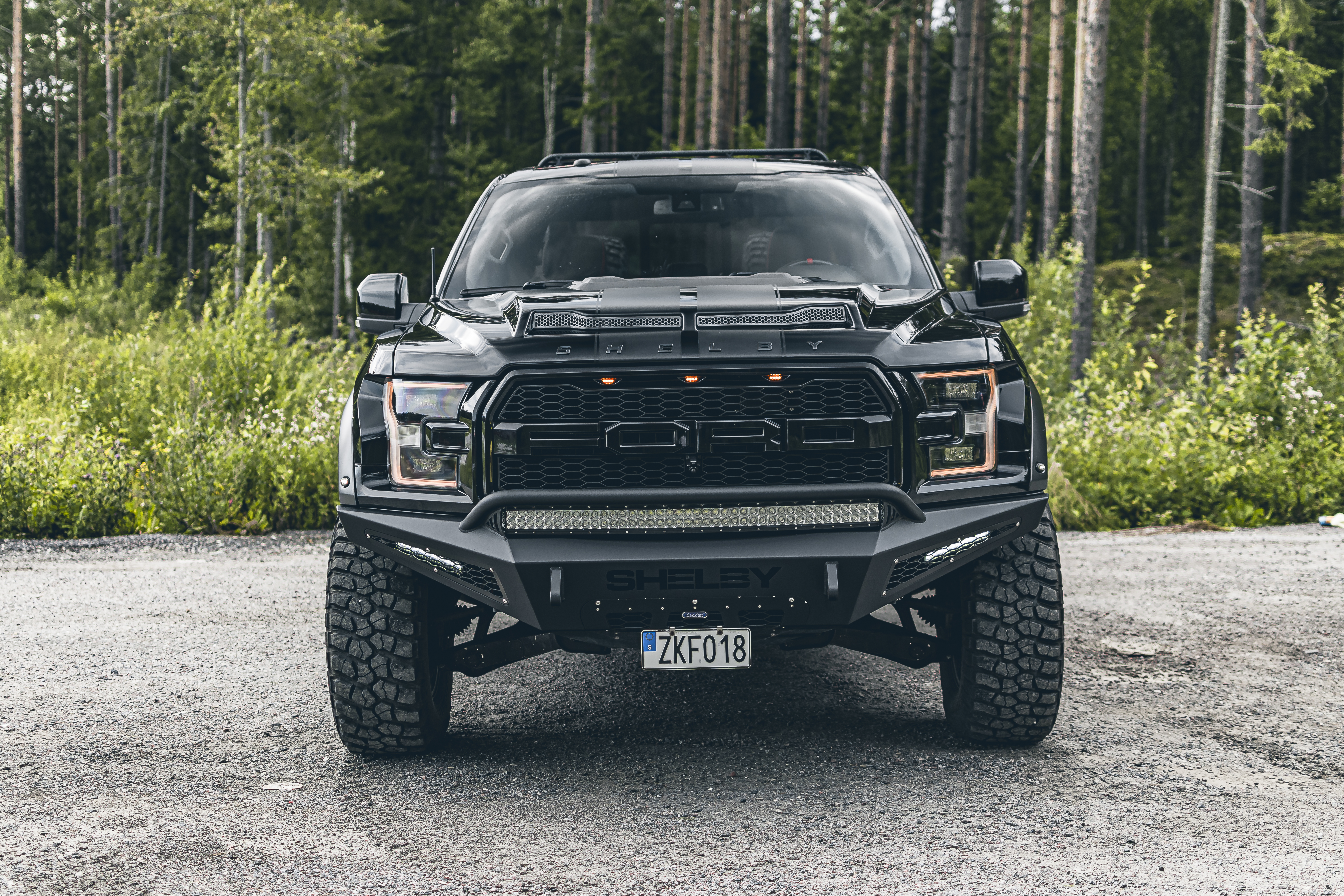 2018 SHELBY FORD F150 RAPTOR - VAT Q for sale in Norrtälje, Sweden