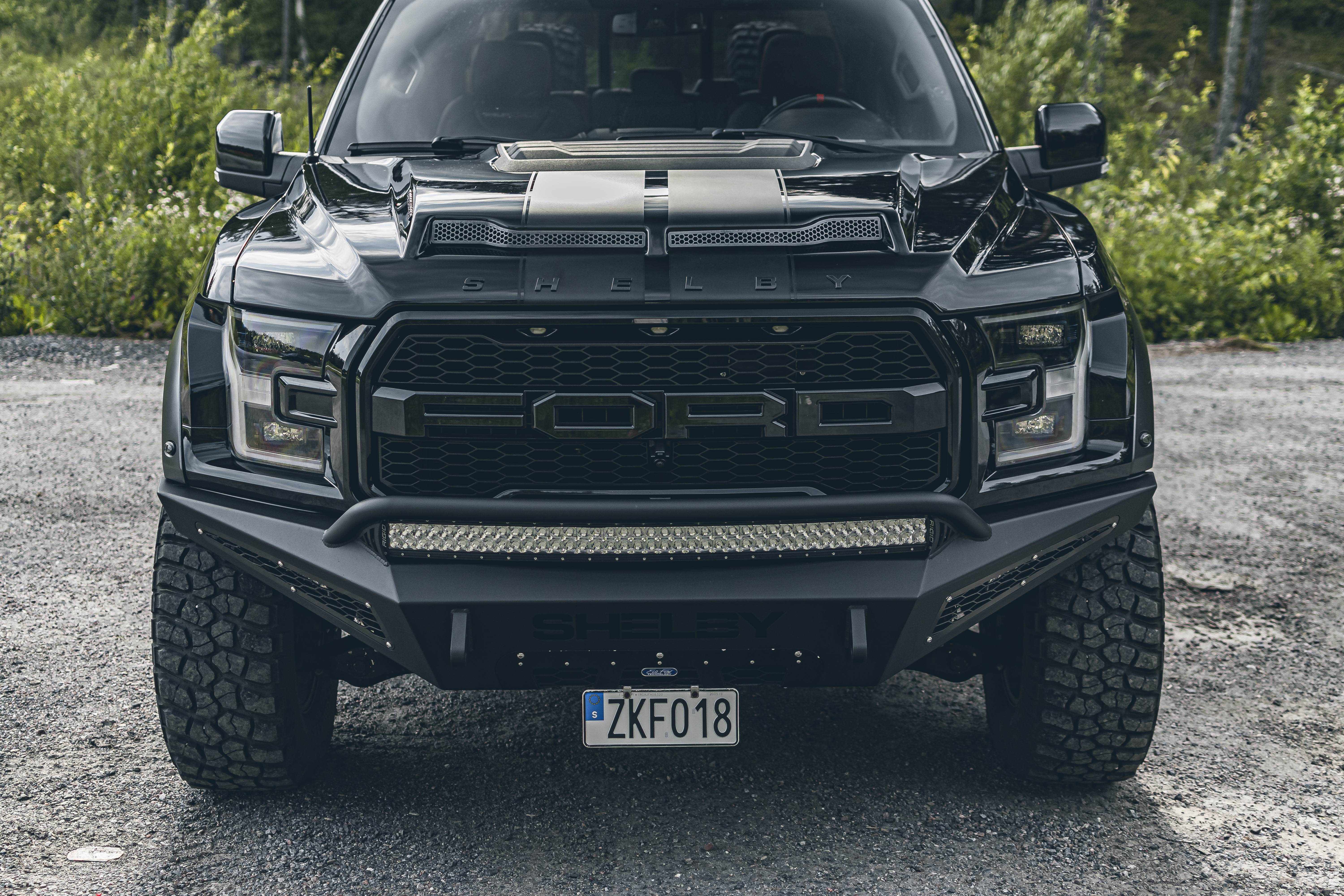 2018 SHELBY FORD F150 RAPTOR - VAT Q for sale in Norrtälje, Sweden