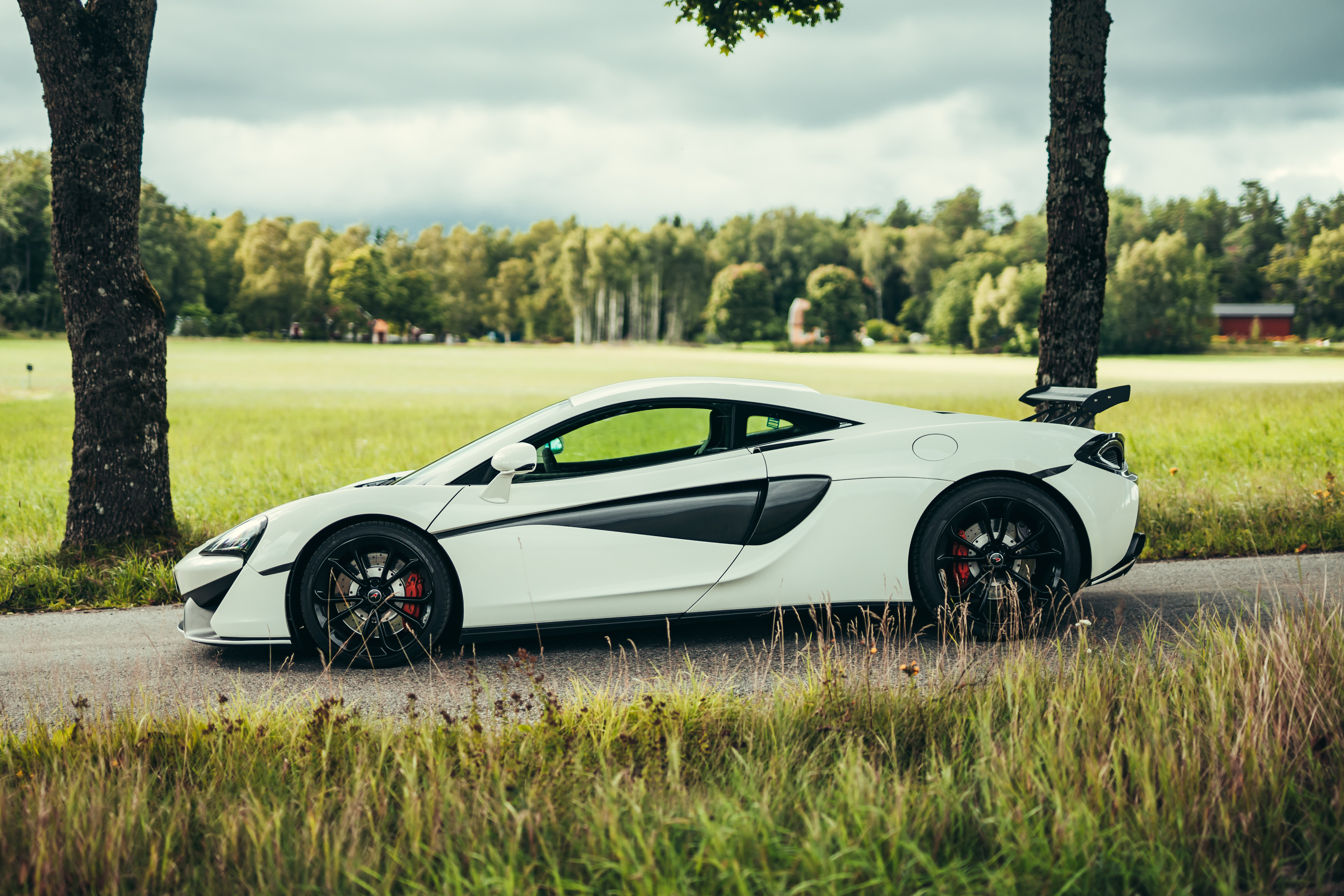 2016 MCLAREN 540C for sale by auction in Stockholm, Sweden