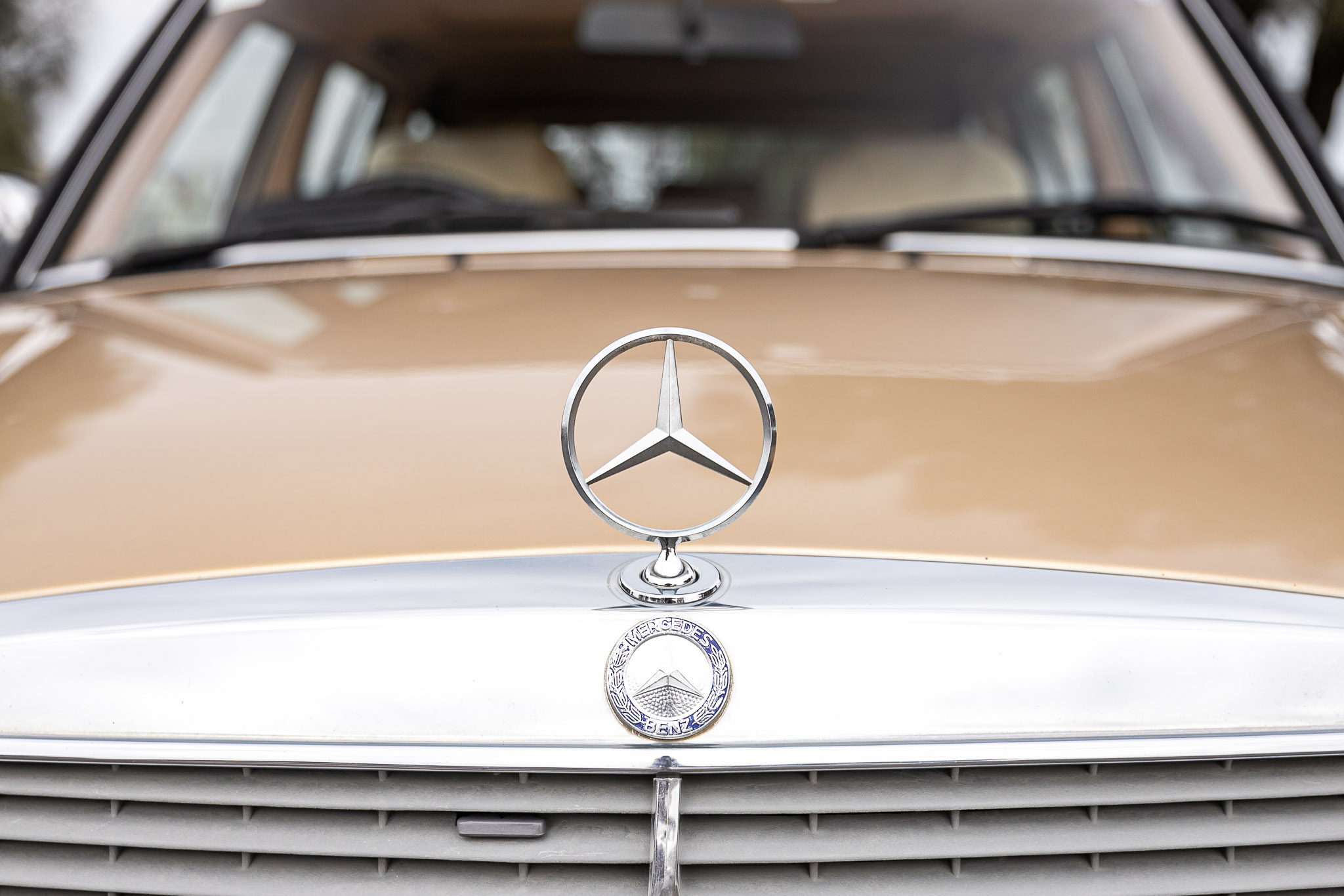 1985 MERCEDES-BENZ (W123) 230 TE for sale in Caulfield, VIC, Australia