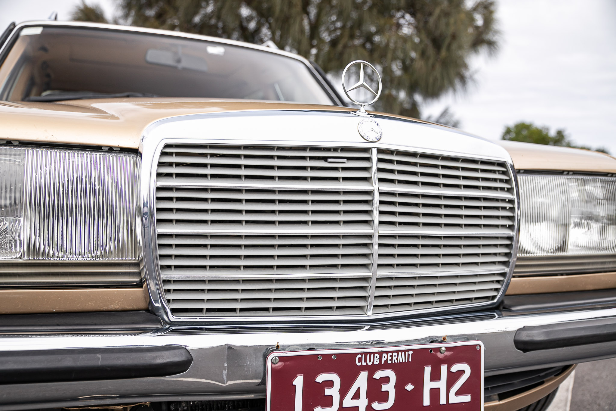 1985 MERCEDES-BENZ (W123) 230 TE for sale in Caulfield, VIC, Australia