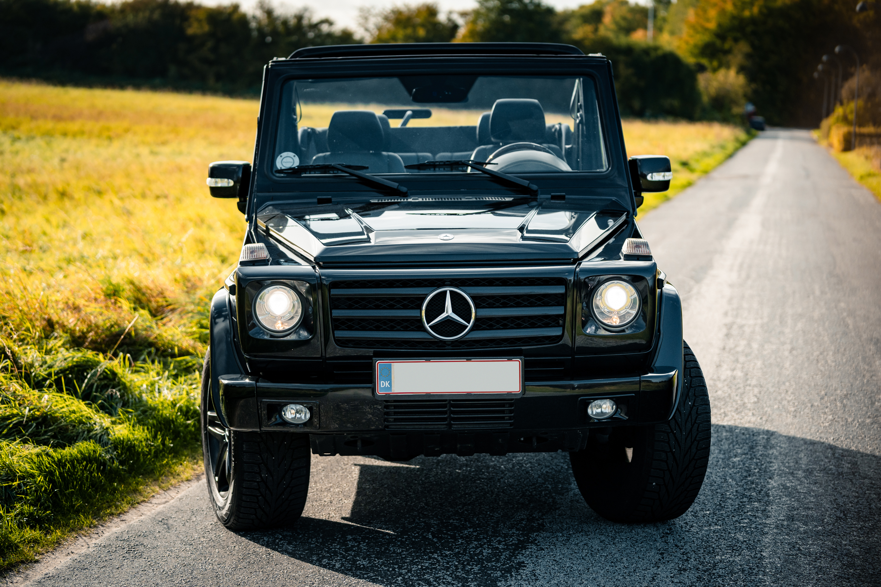 2010 Mercedes-Benz (W463) G320 Cabriolet for sale by auction in ...