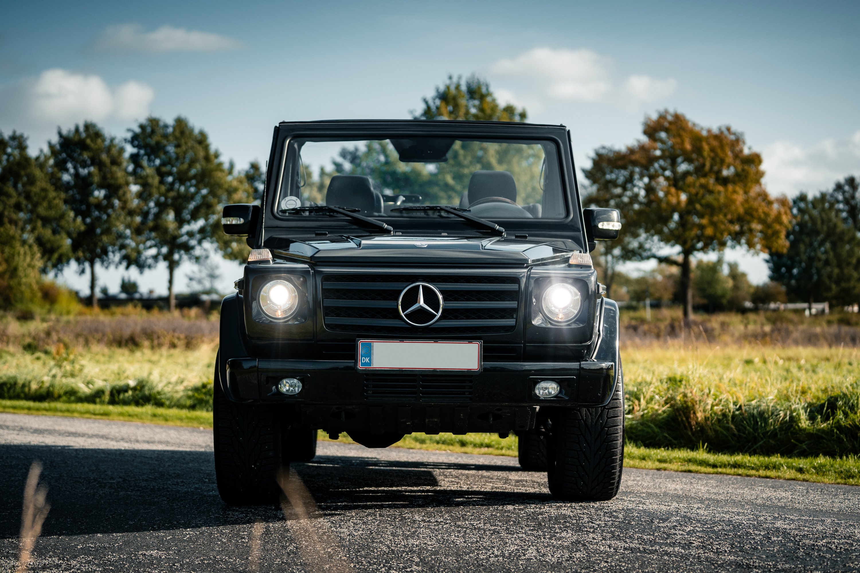 2010 Mercedes-Benz (W463) G320 Cabriolet for sale by auction in ...