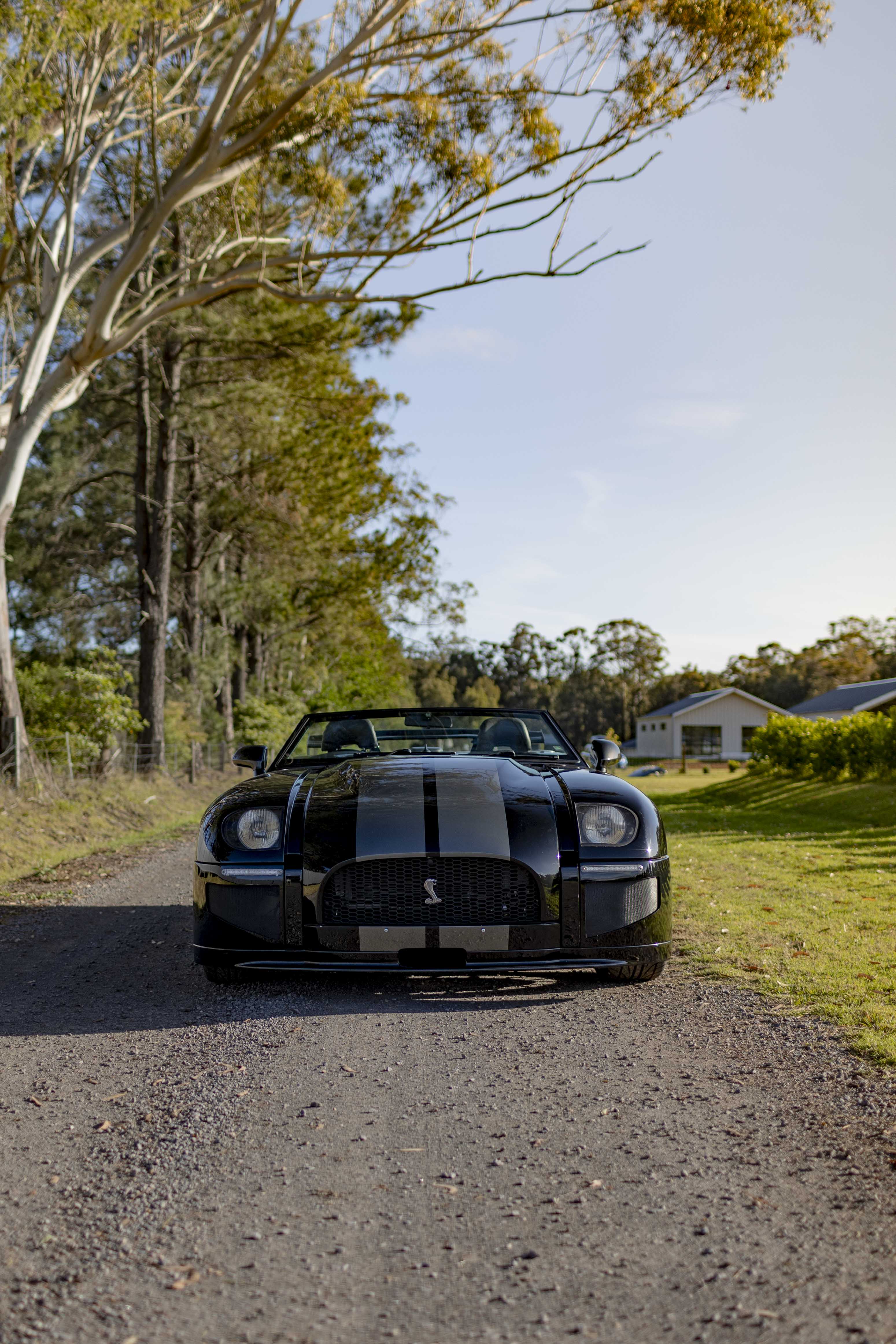 2012 DRB SC540 Shelby Concept Cobra Replica for sale by auction in ...