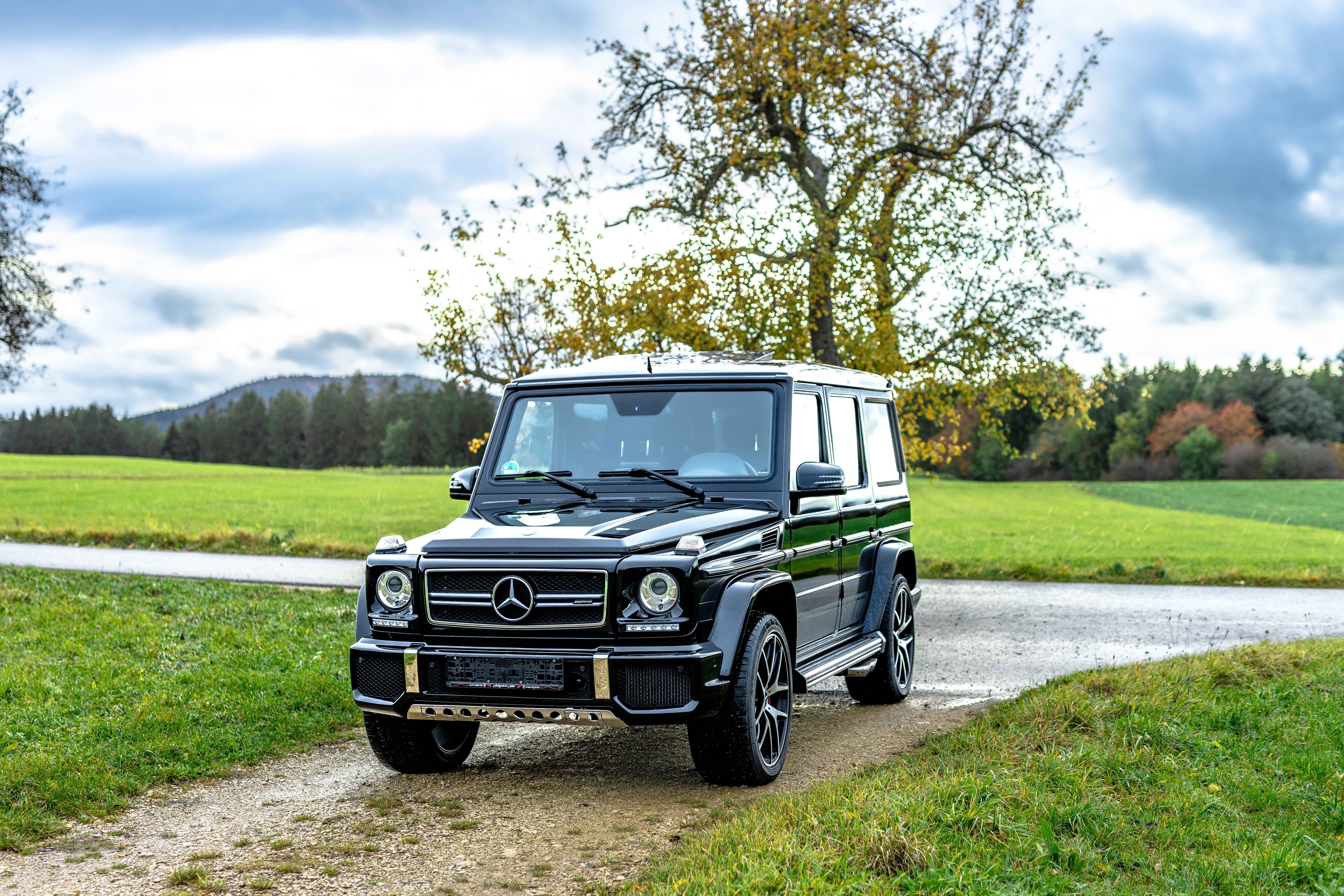 2017 Mercedes-Benz G63 AMG - Edition 463 for sale by auction in ...