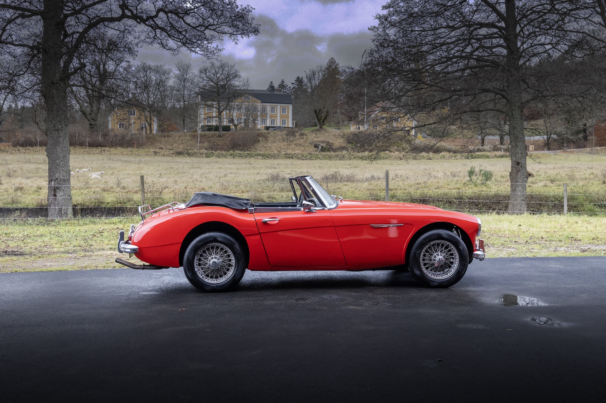 Unleash The Beast A Deep Dive Into The Legendary 1965 Austin Healey 3000 Mkiii