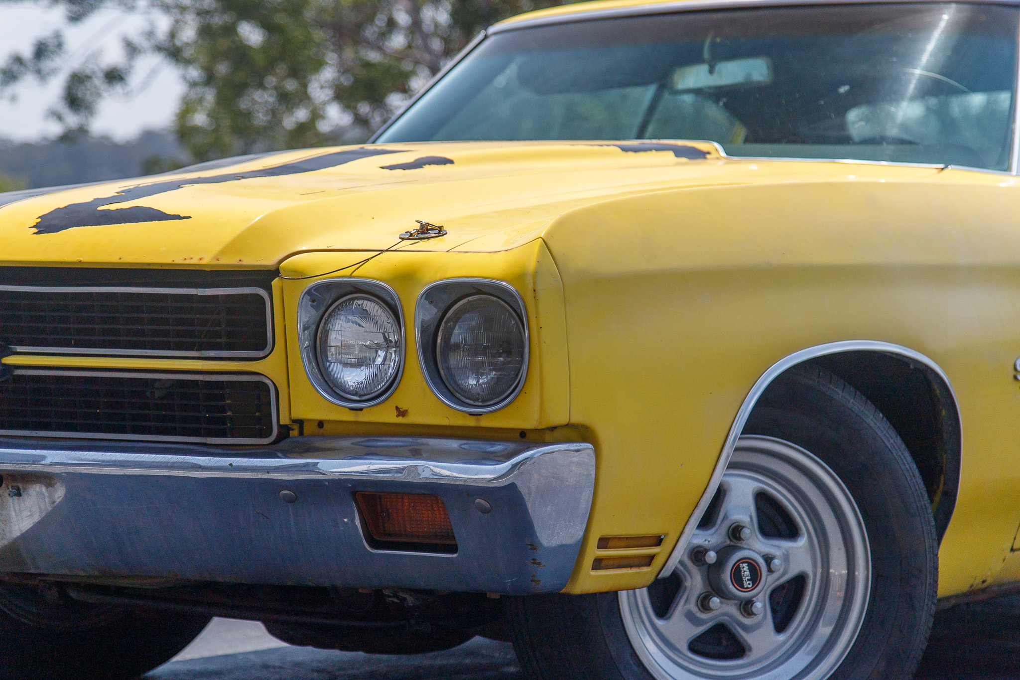 1970 Chevrolet Chevelle for sale by auction in Maitland, NSW, Australia