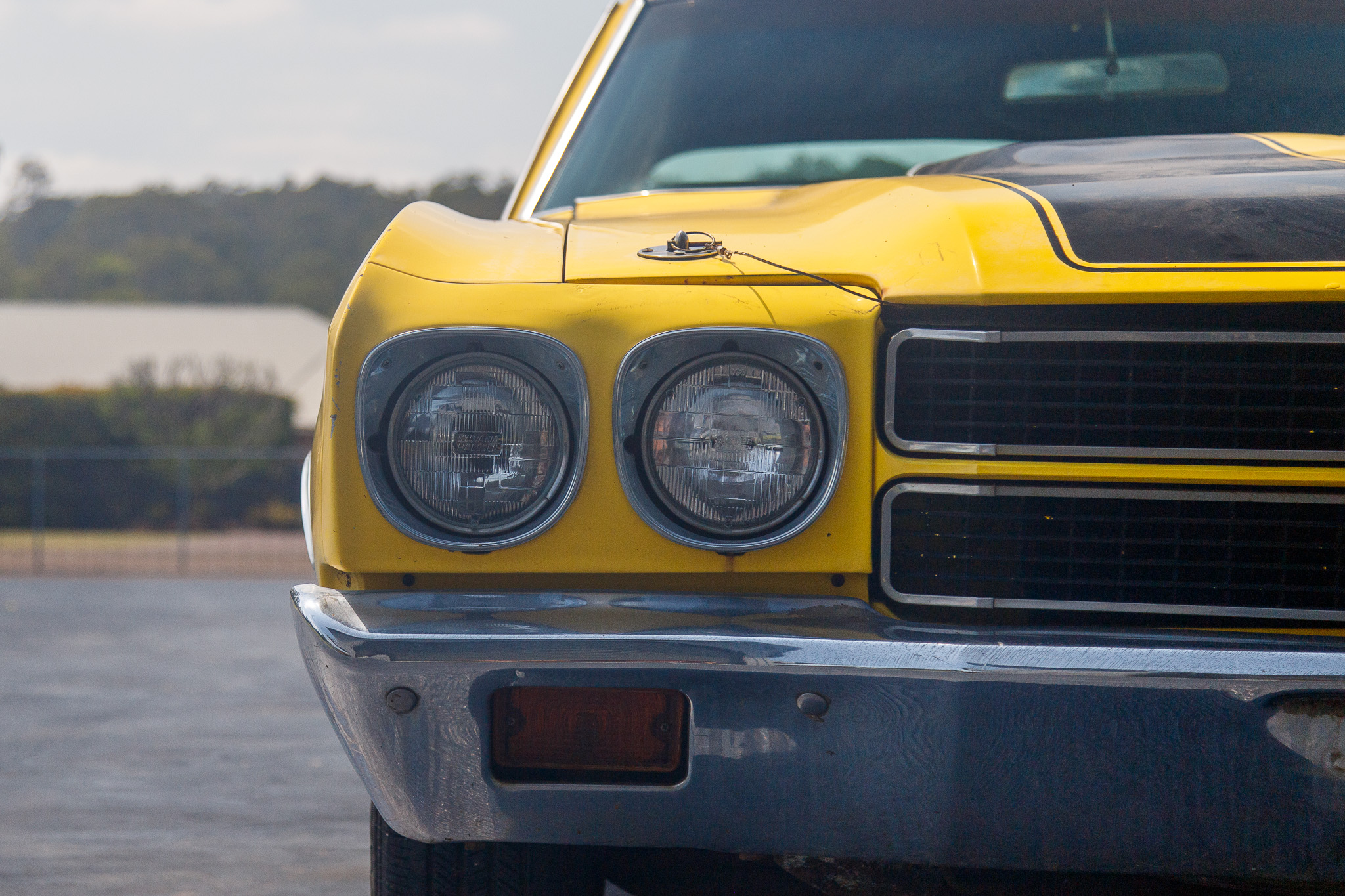 1970 Chevrolet Chevelle for sale by auction in Maitland, NSW, Australia