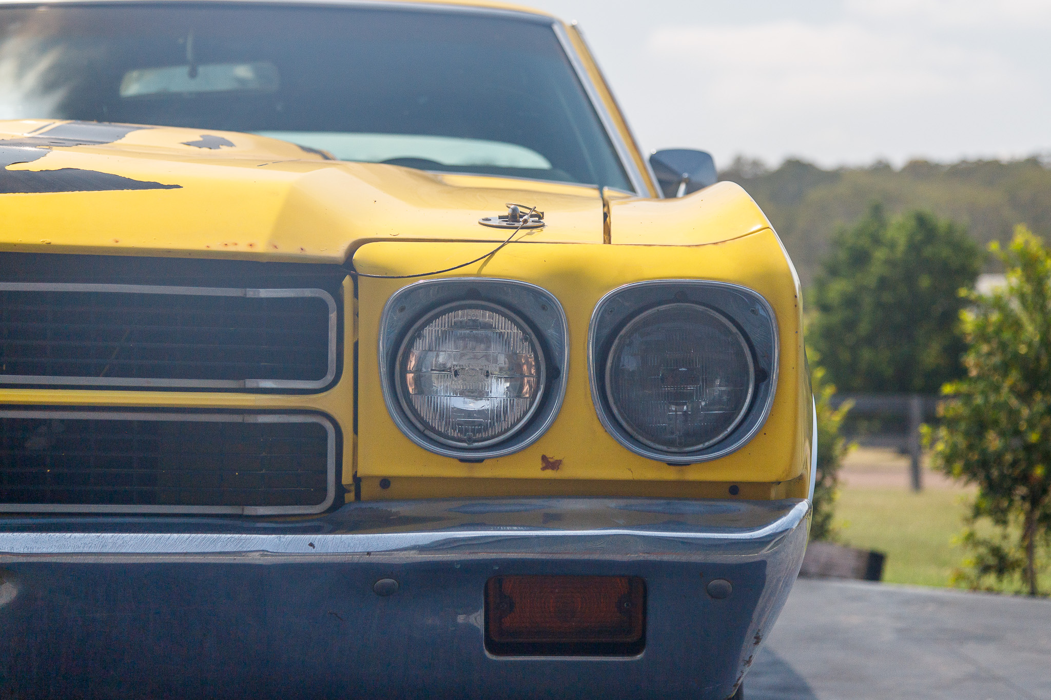 1970 Chevrolet Chevelle for sale by auction in Maitland, NSW, Australia
