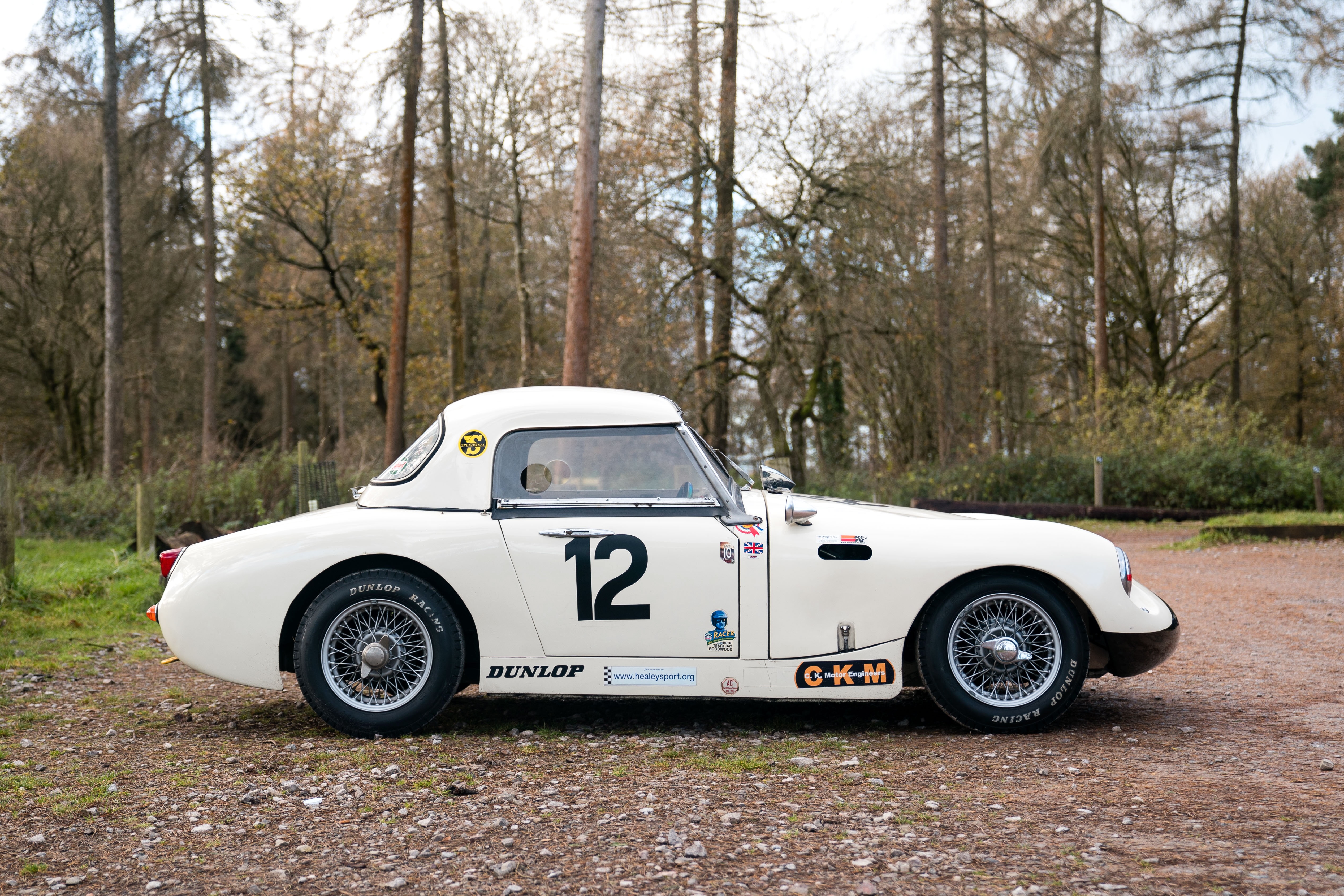 1959 Austin-Healey Speedwell Sprite GT for sale by auction in Faringdon ...