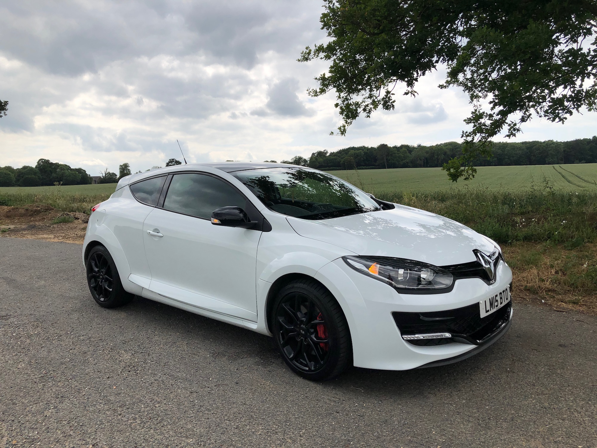 2015 RENAULTSPORT MEGANE 265 CUP