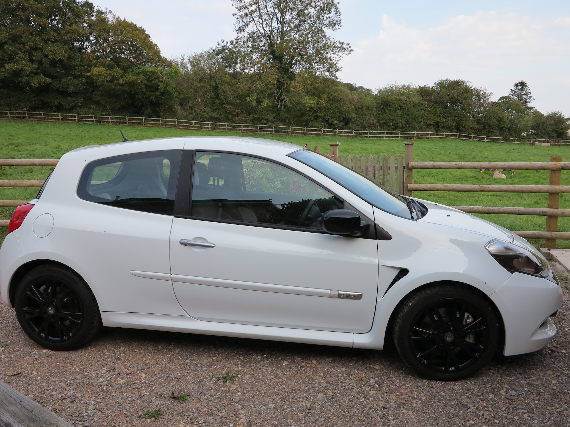 2010 RENAULTSPORT CLIO 200